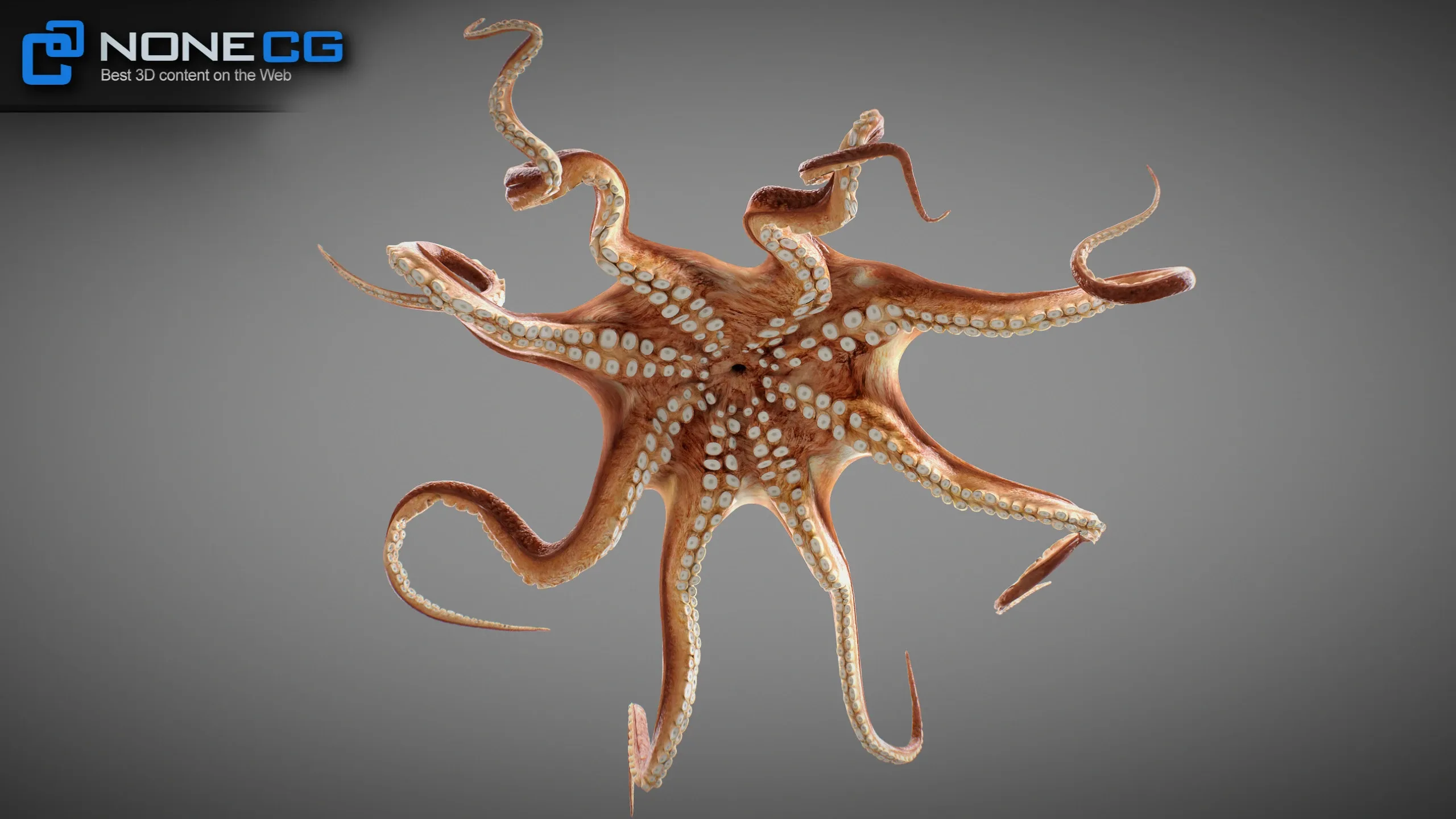 Animated Octopus - FlippedNormals
