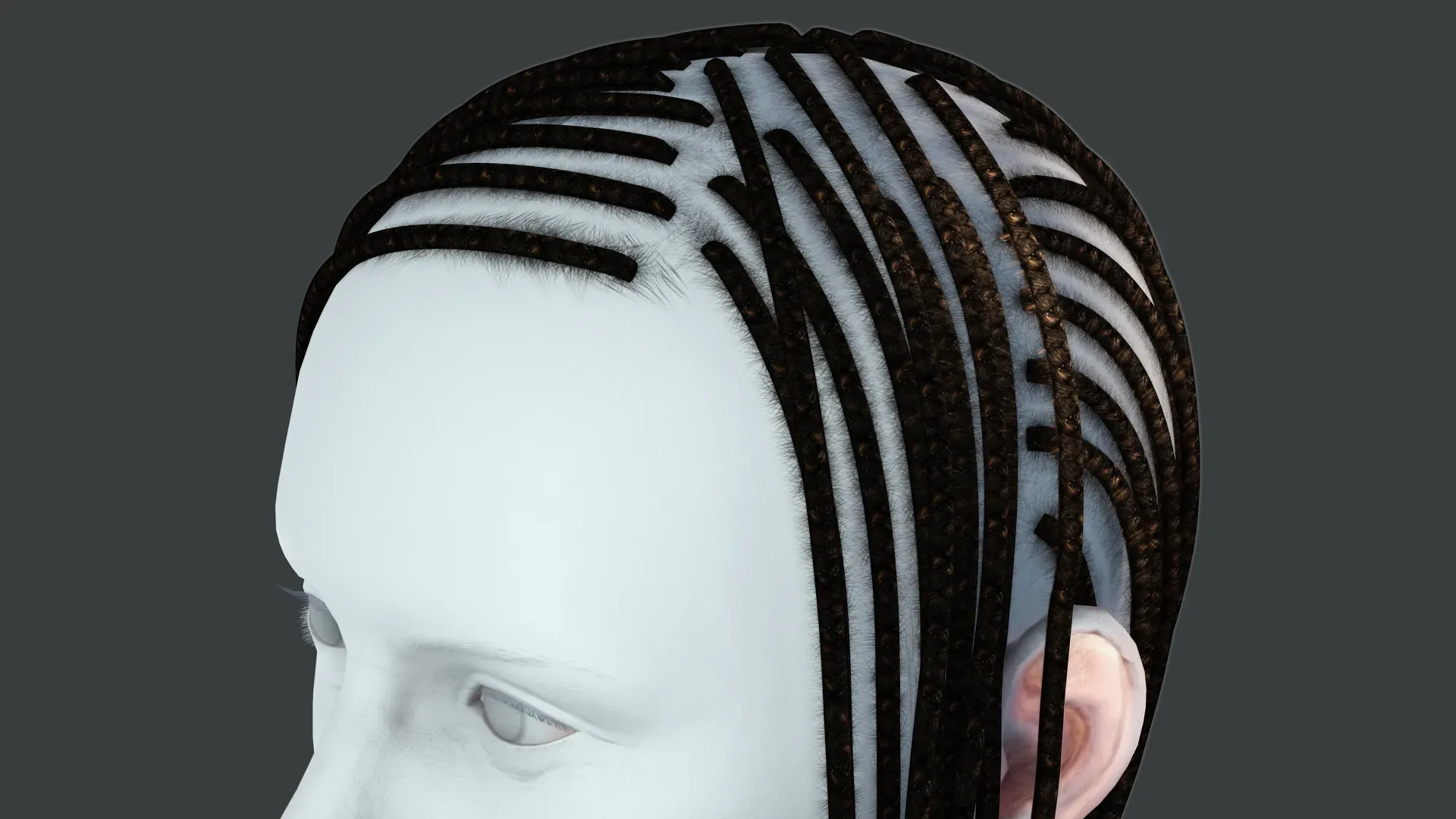 Realistic Braid Hair Rasta Low-poly - FlippedNormals