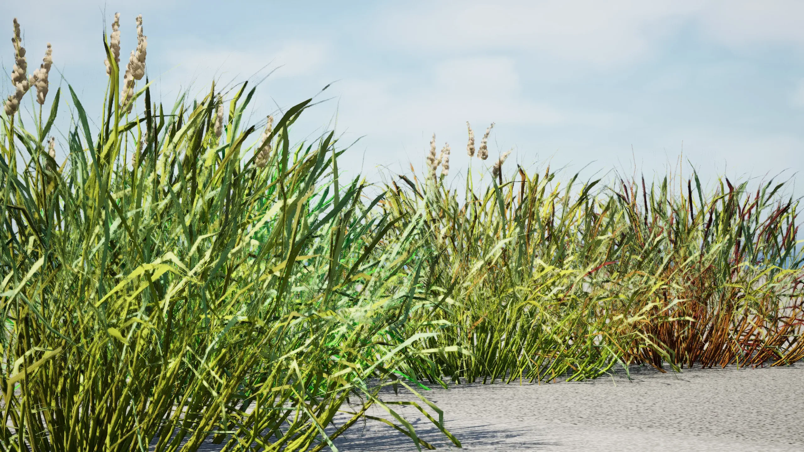 Realistic Grass 3D Model - FlippedNormals