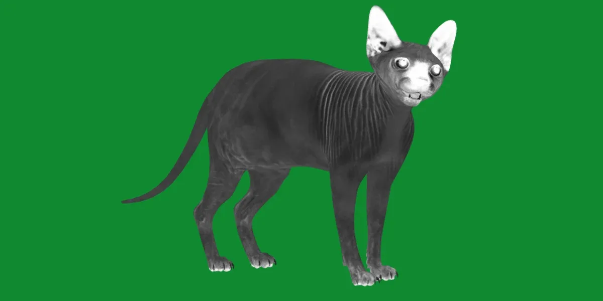 Sphynx Cat - FlippedNormals
