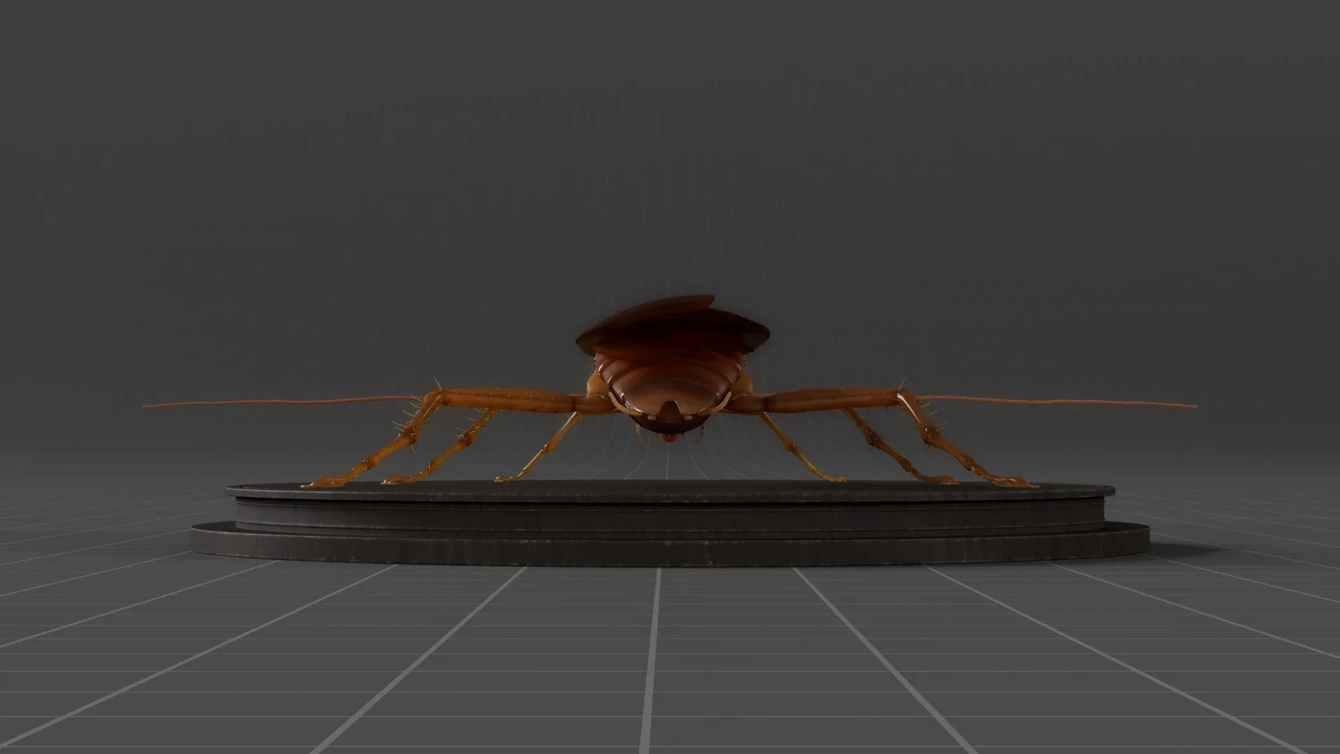 Cockroach Insect Model - FlippedNormals