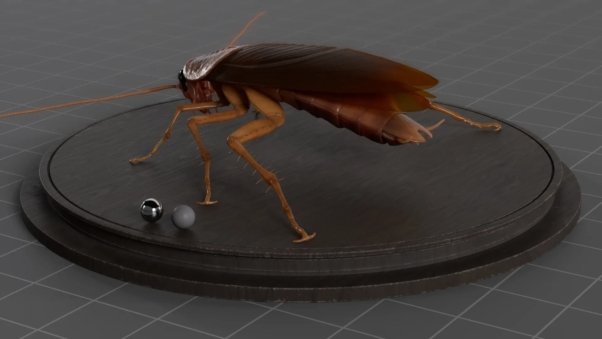 Cockroach Insect Model - FlippedNormals