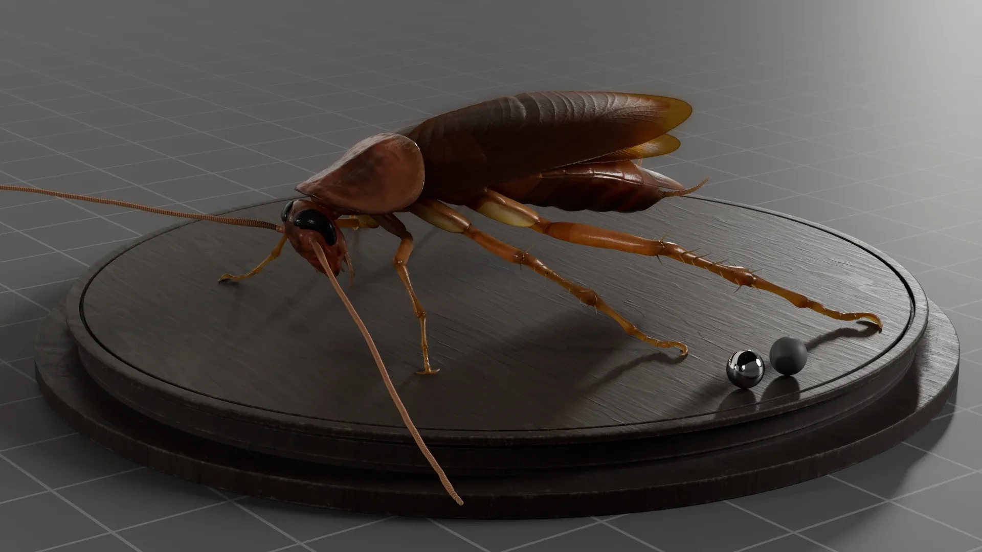 Cockroach Insect Model - FlippedNormals
