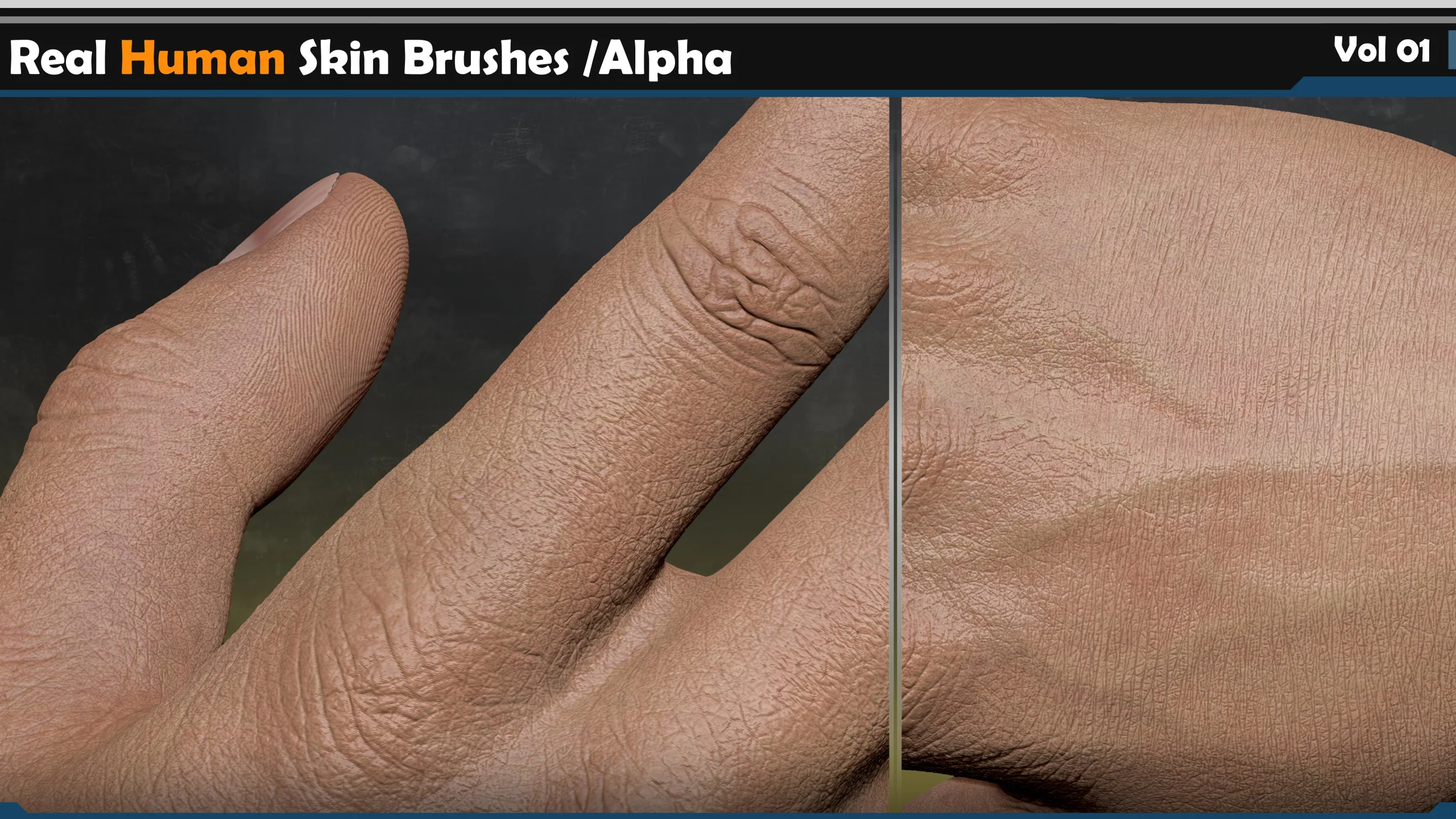 Real Human Skin Brushes /Alpha - FlippedNormals