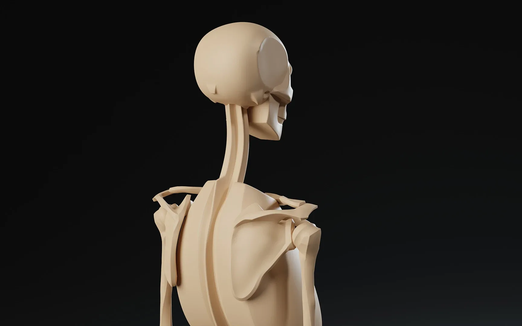 3D Simplified Skeleton for Artists - FlippedNormals