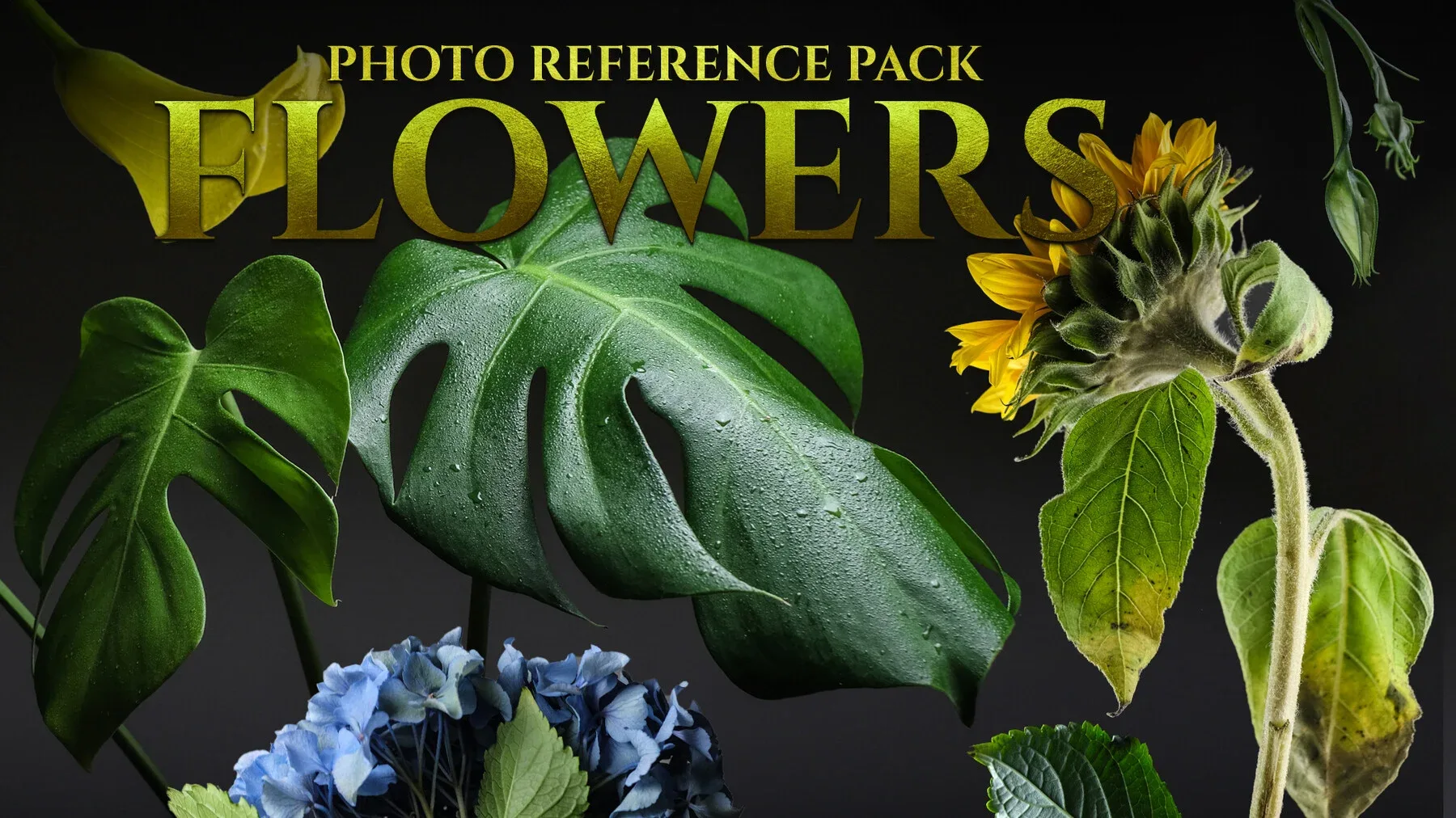(A) Flowers - Reference Photo Pack - FlippedNormals