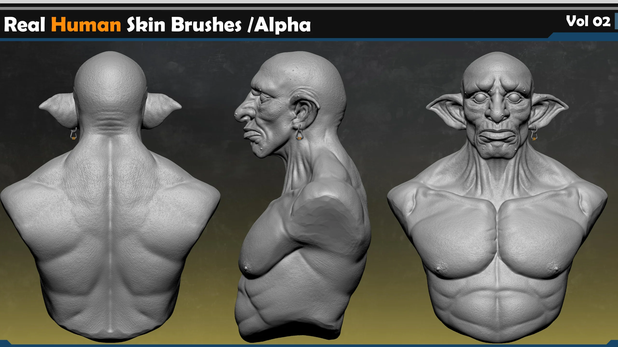 Real Human Skin Brushes /Alpha - FlippedNormals