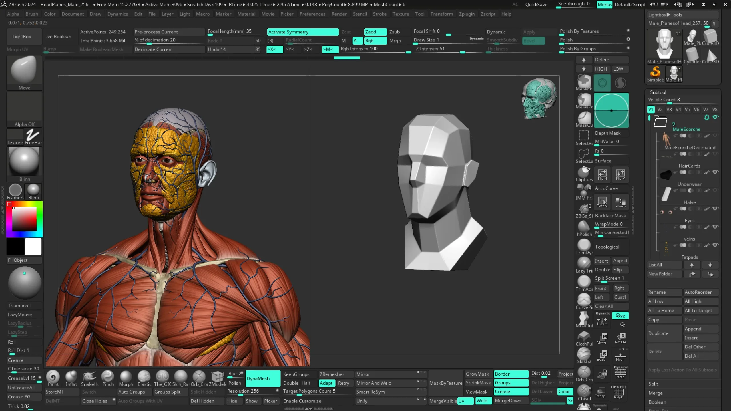 ECORCHE - Realistic Male Full Body - FlippedNormals