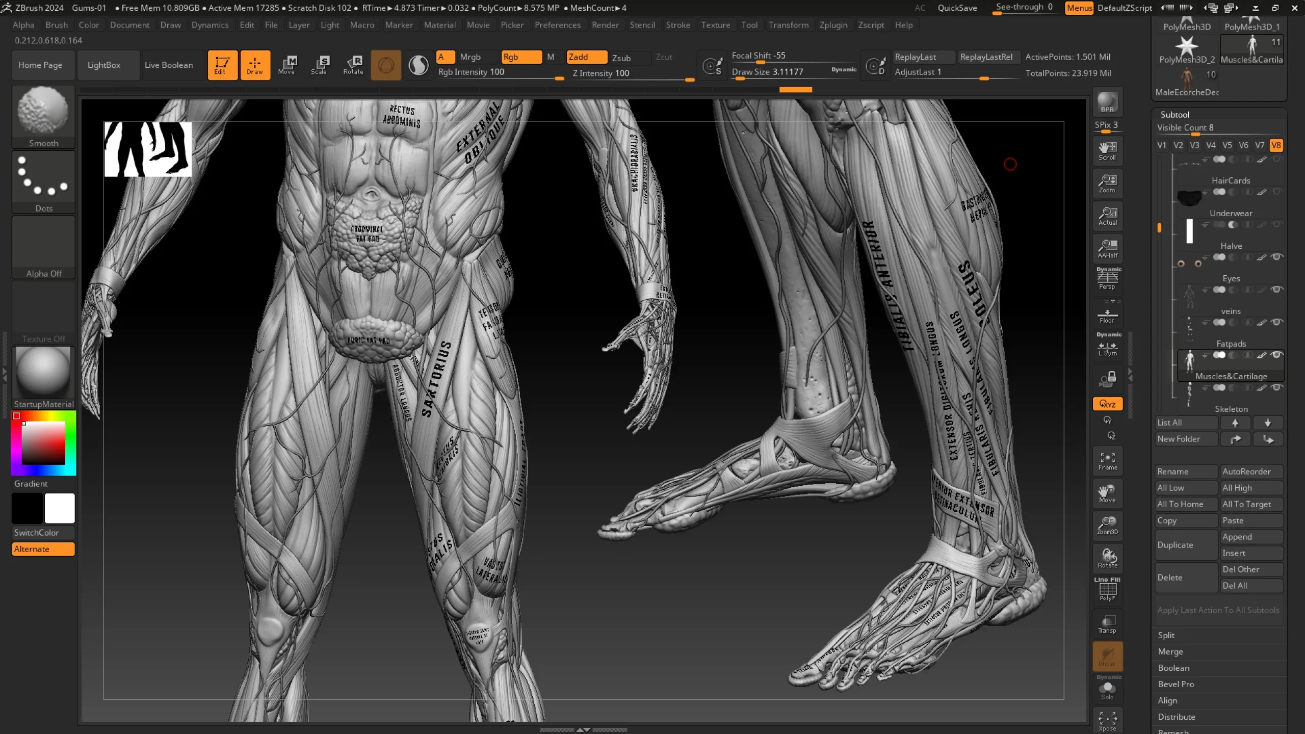 ECORCHE - Realistic Male Full Body - FlippedNormals