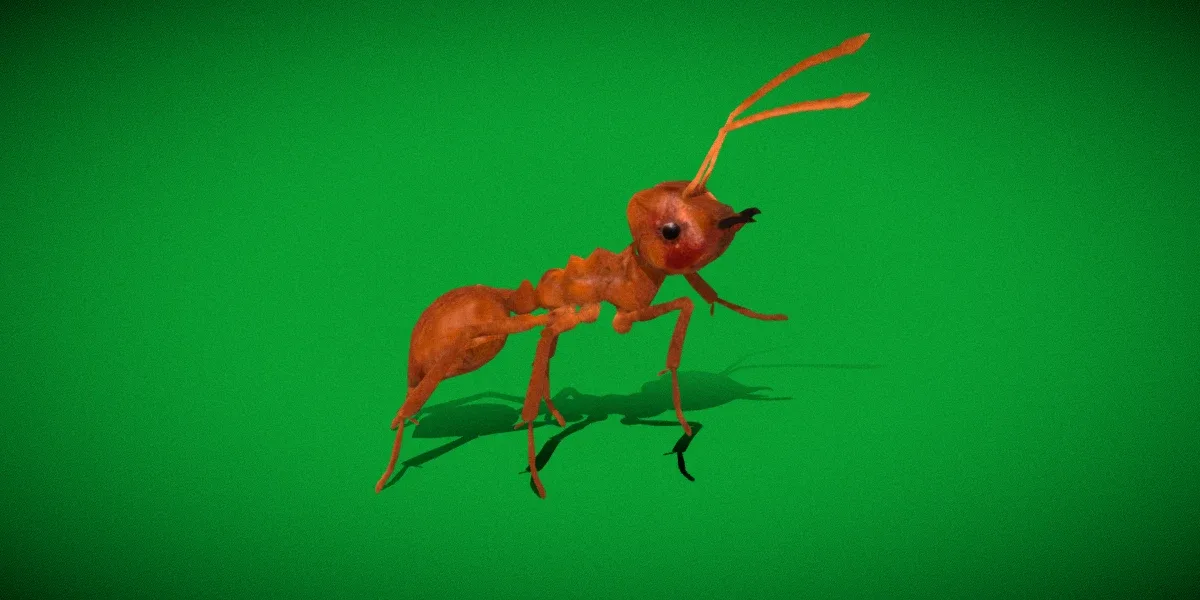 Leafcutter Ant Insect - FlippedNormals