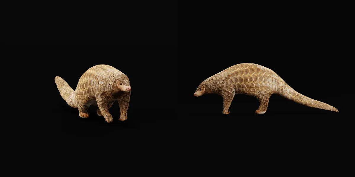 Pangolins Scaly Anteater - FlippedNormals