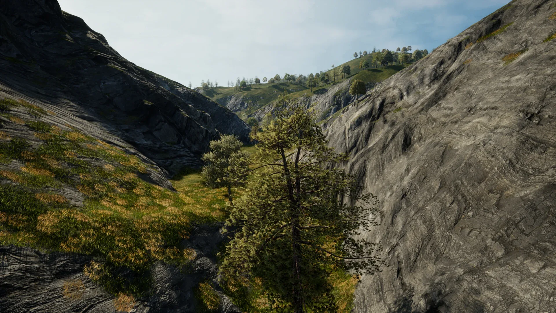 Landscape Procedural Ecosystem - FlippedNormals