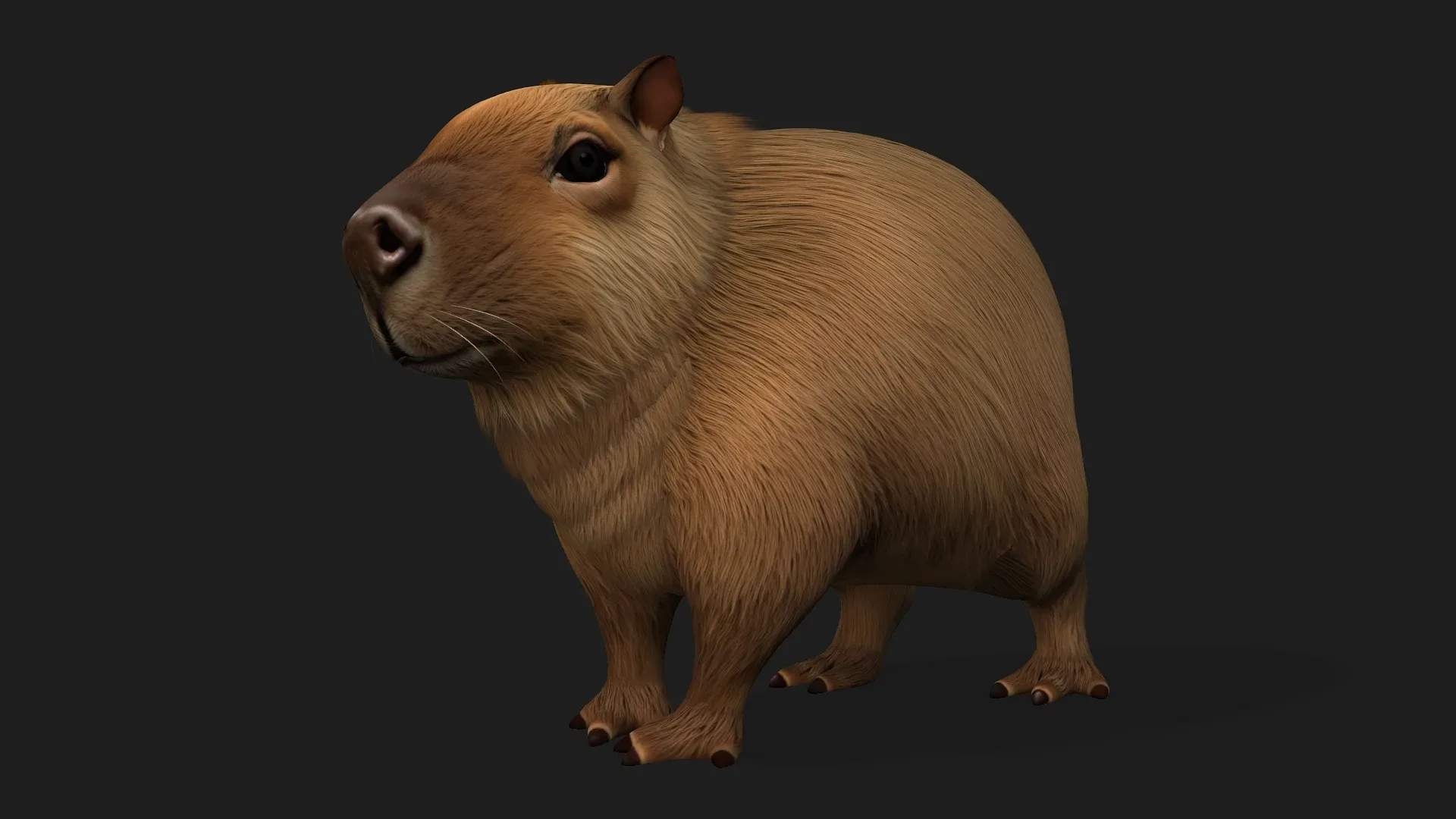 Capybara_A1 - FlippedNormals