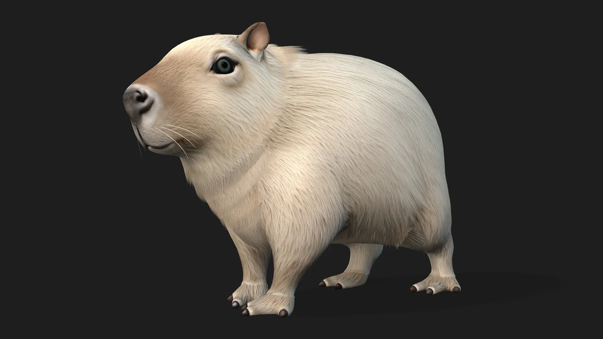 Capybara_A2 - FlippedNormals
