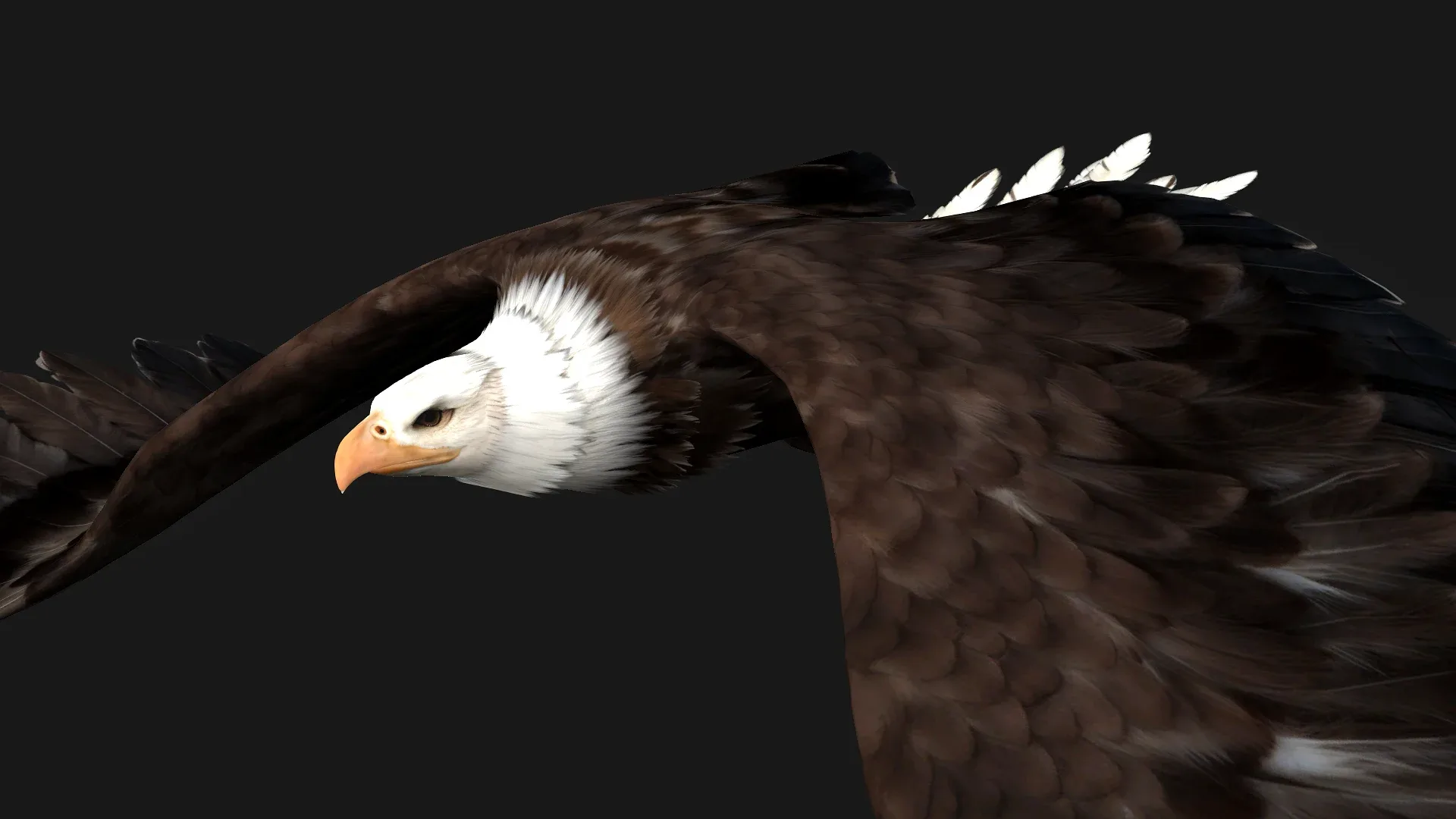 Eagle_B2 - FlippedNormals