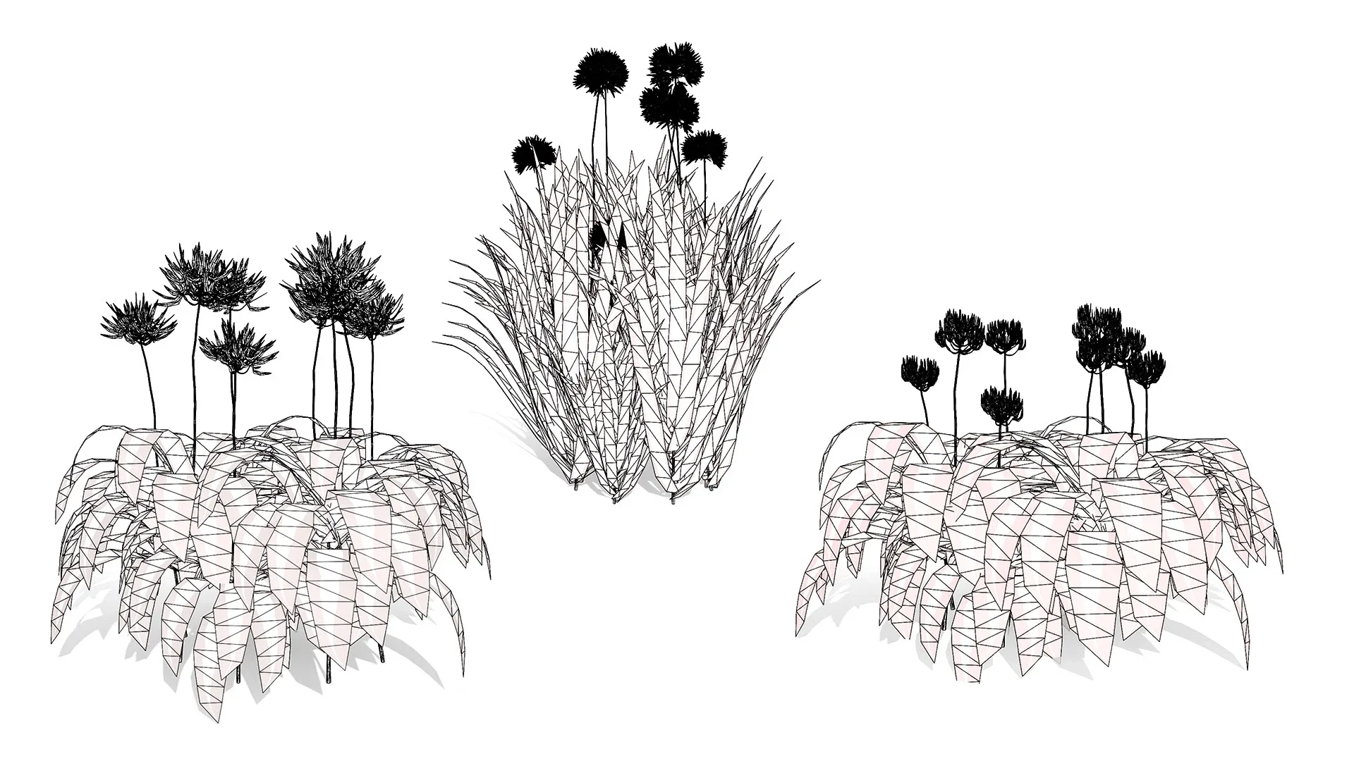 Flander Agapanthus Flowering Plants - FlippedNormals