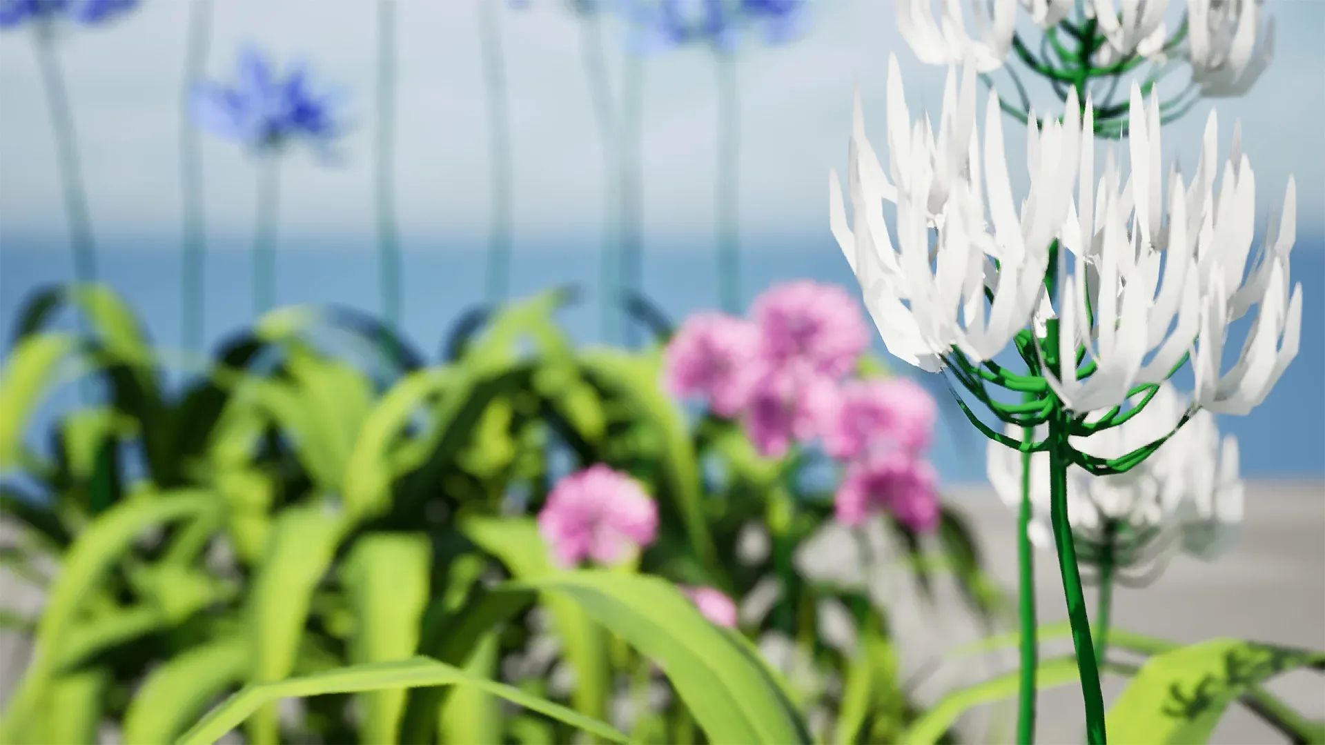 Flander Agapanthus Flowering Plants - FlippedNormals
