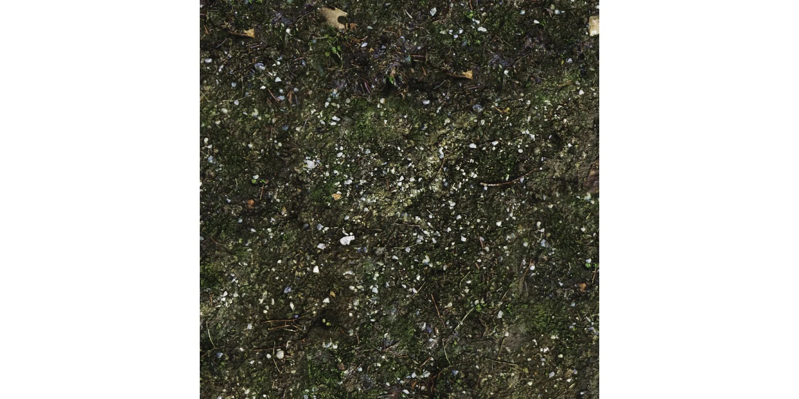 Ground Green - Moss 01 - Scanned - FlippedNormals