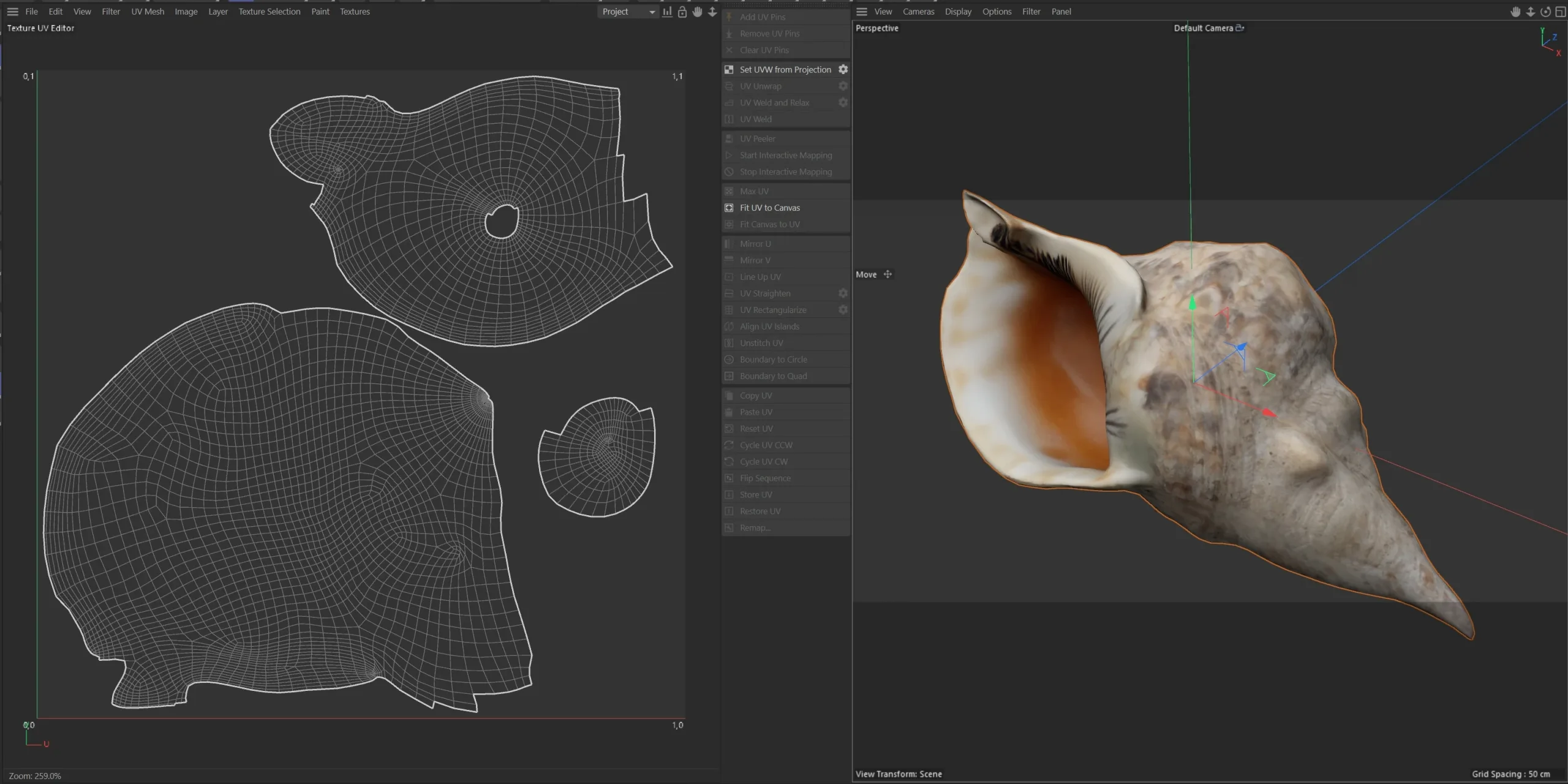 Conch shell v1 - FlippedNormals