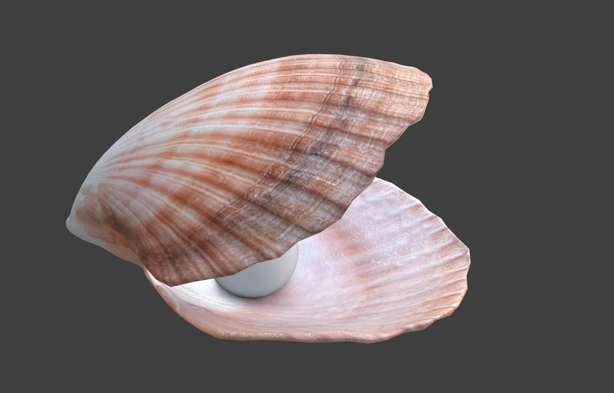 Conch shell pearl - FlippedNormals