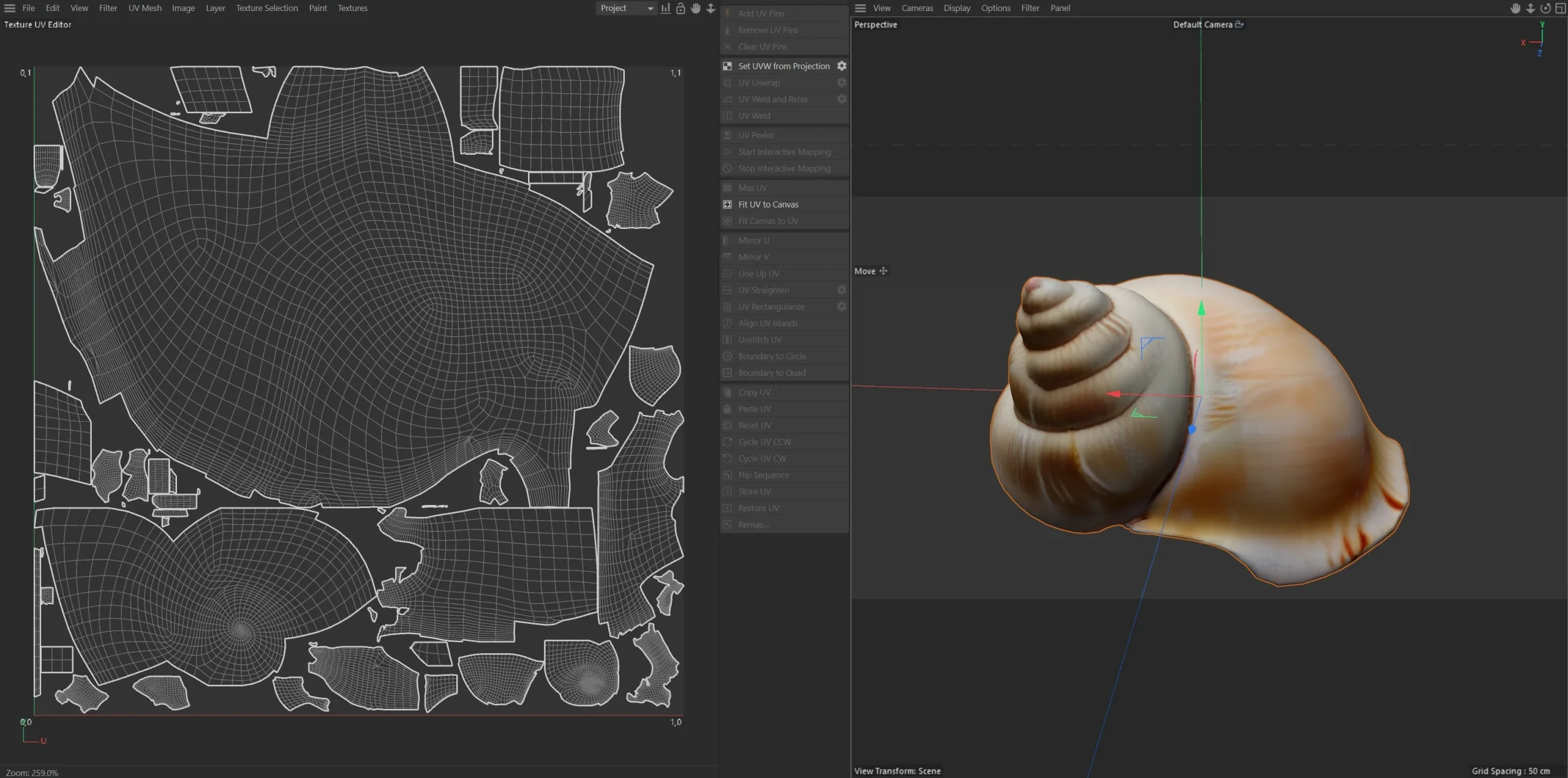 Conch shell v6 - FlippedNormals