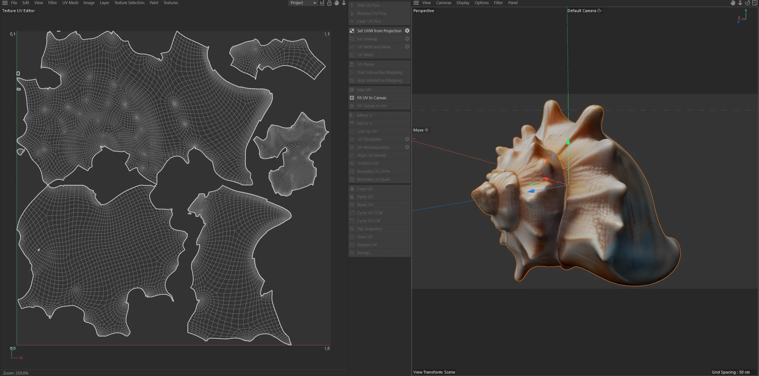 Conch shell v8 - FlippedNormals