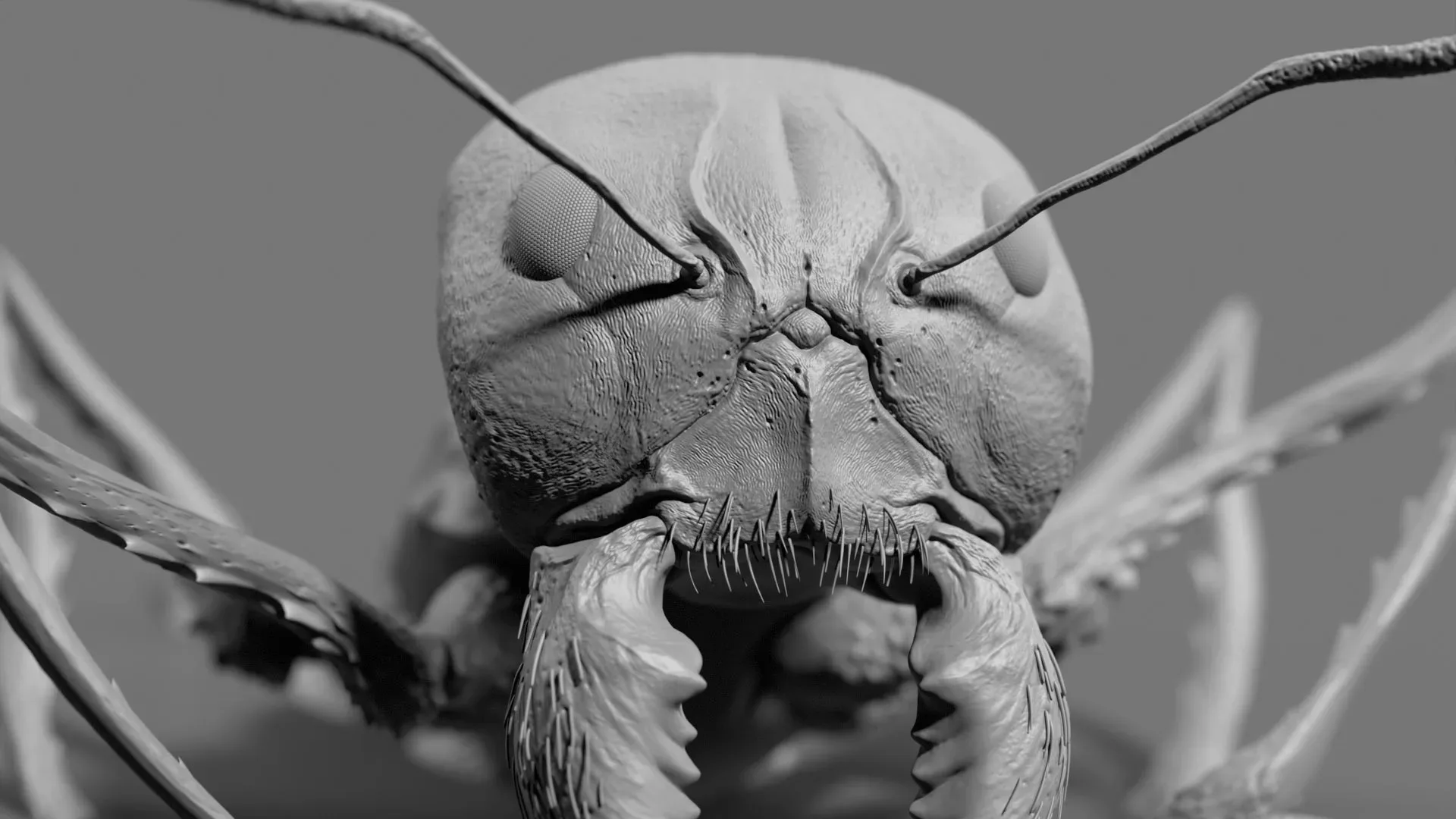 Insect Detailing Brushes for ZBrush - FlippedNormals