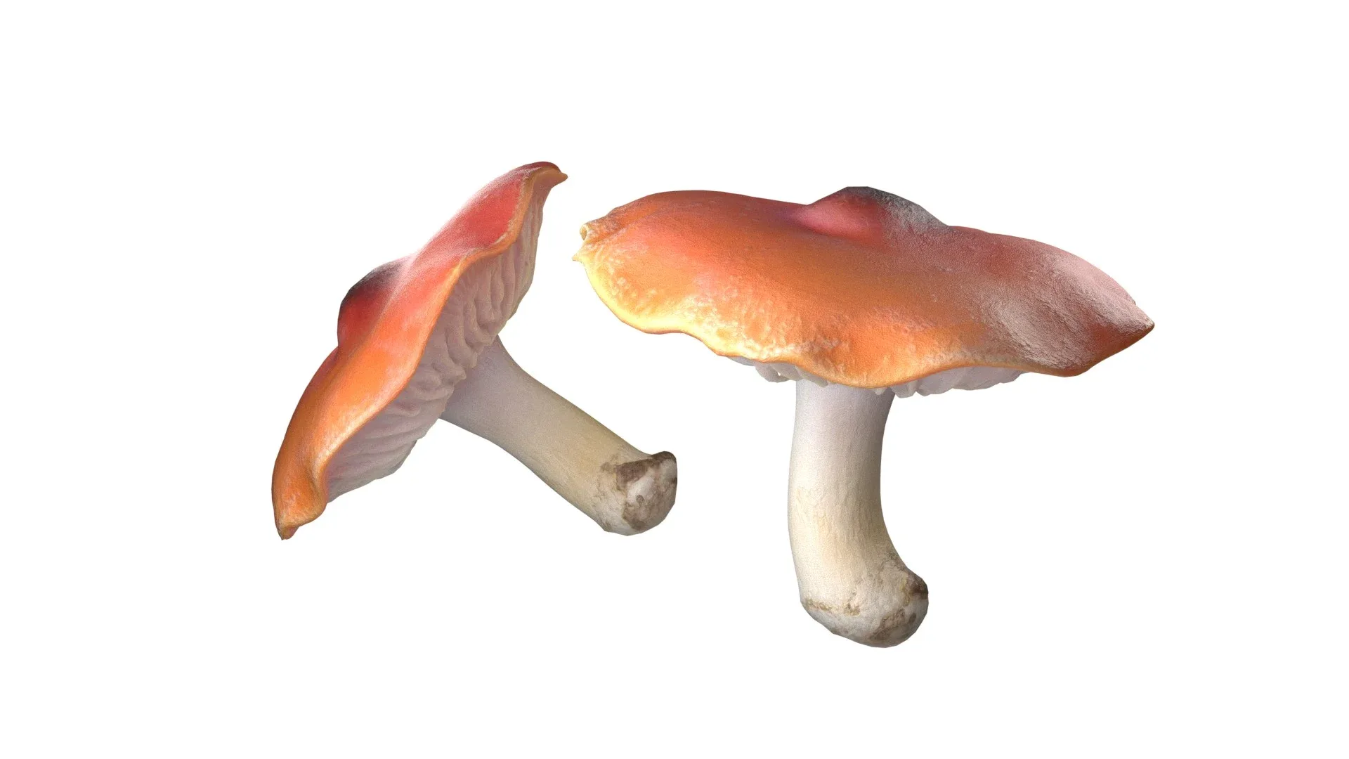 Mushroom 7 - FlippedNormals