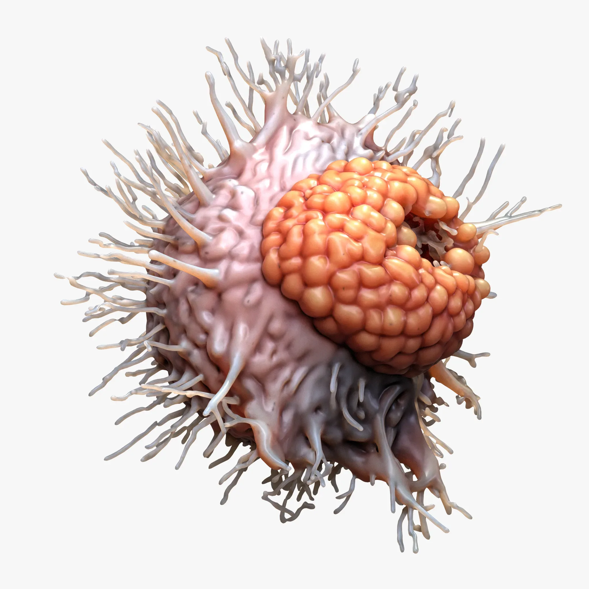 Cancer Cell Tumor - FlippedNormals
