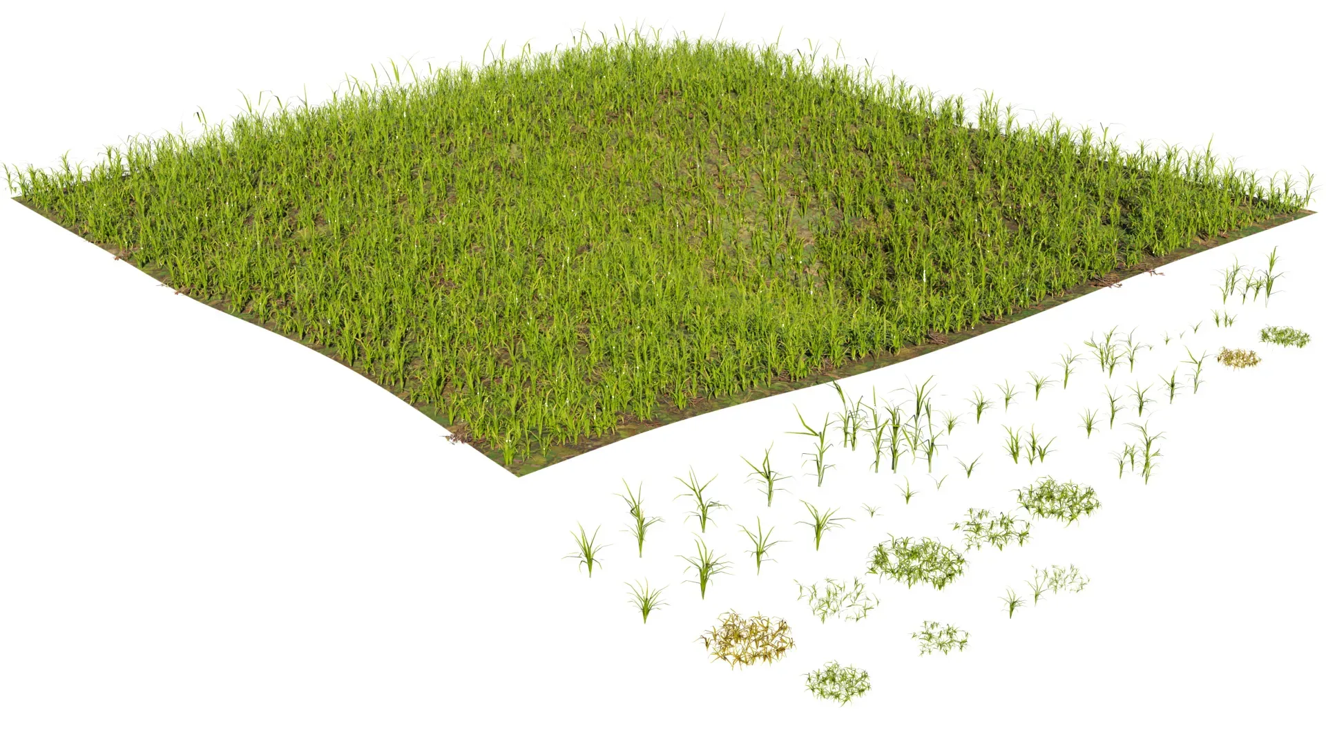 Game-Ready Grass Collection: Individual - FlippedNormals