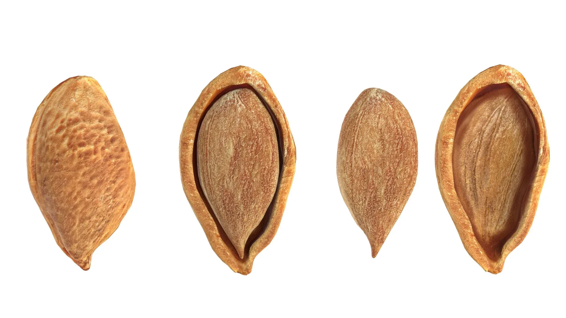 Plum Seed - FlippedNormals