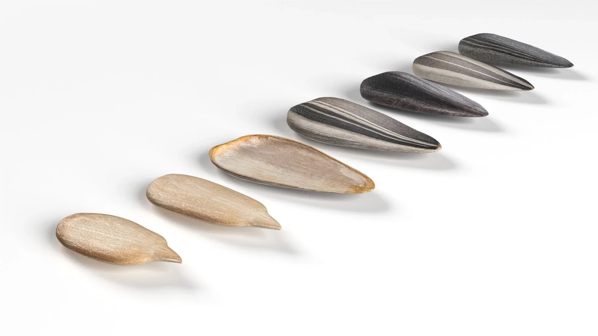 Sunflower seeds collection - FlippedNormals