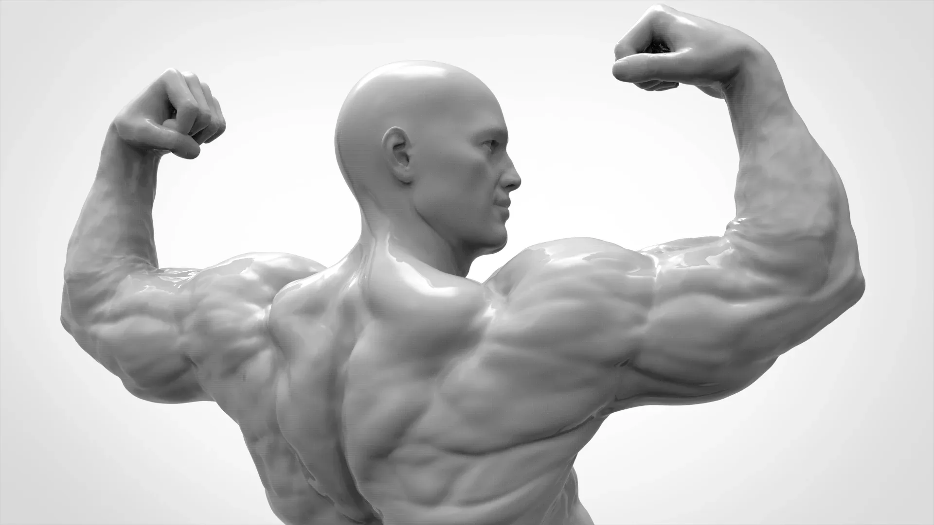 Bodybuilder Pose Anatomy - FlippedNormals