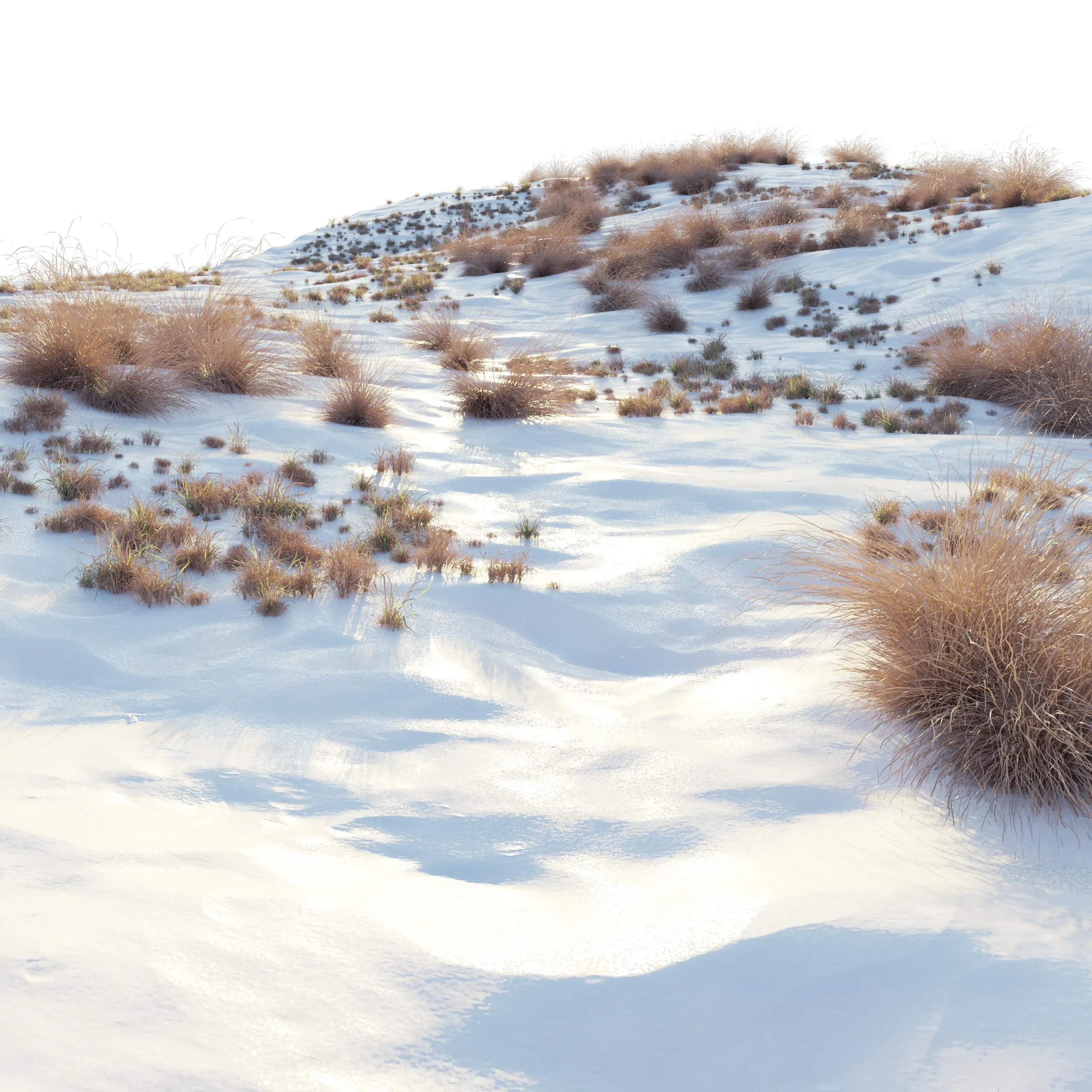 Snowy biome 02 - FlippedNormals
