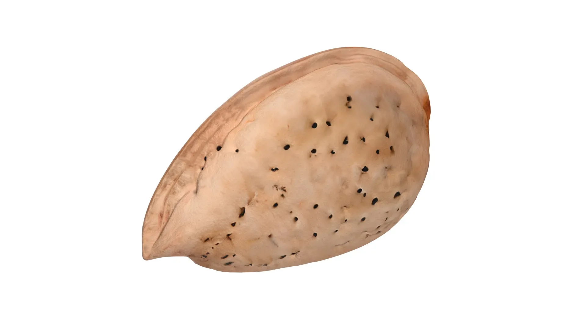 Almond shell v2 - FlippedNormals