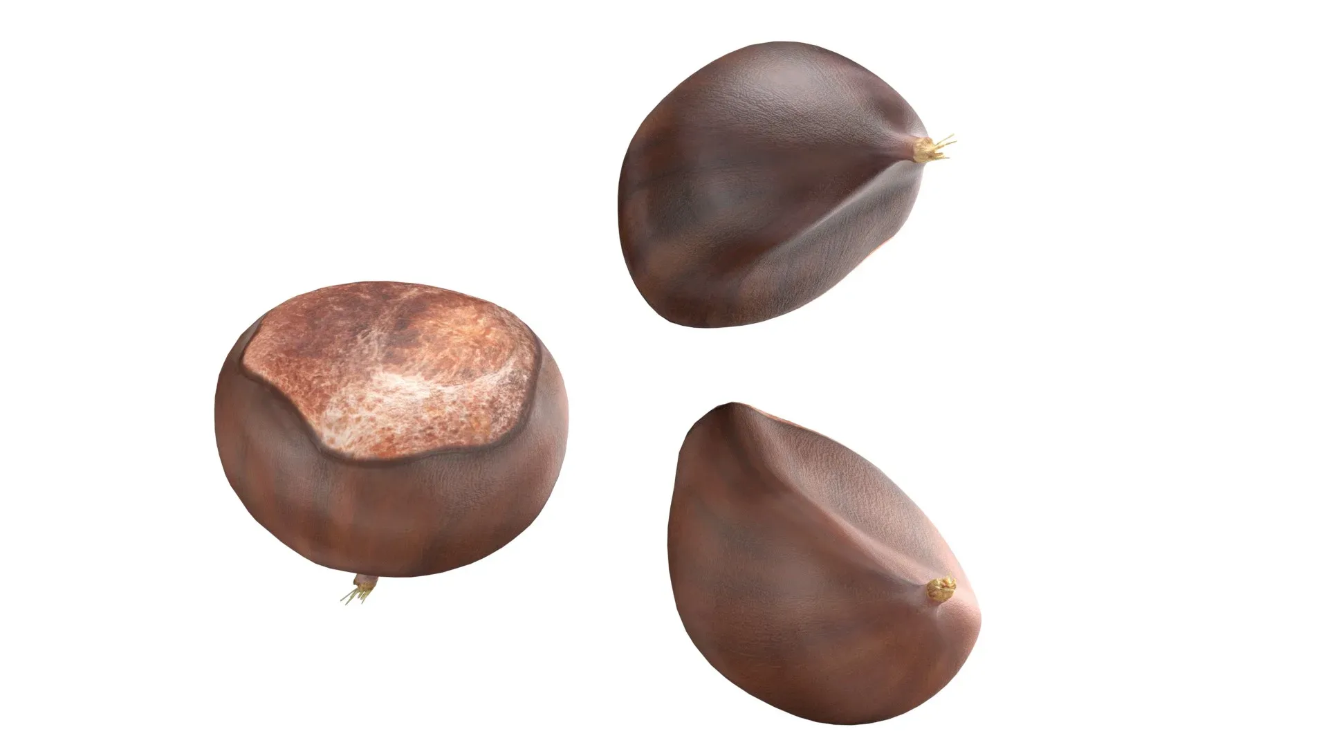 chestnut kernel - FlippedNormals