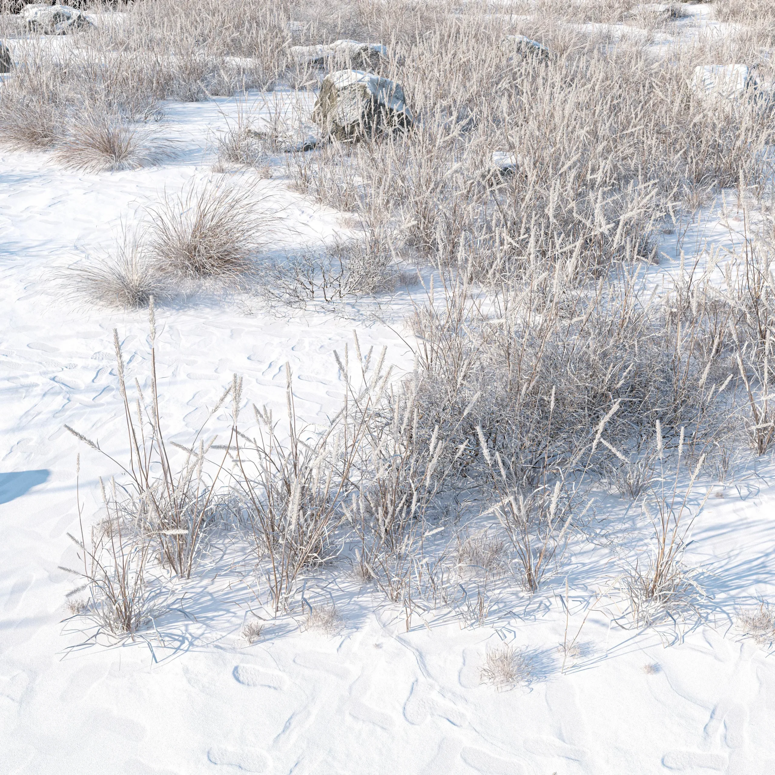 Snowy biome - FlippedNormals