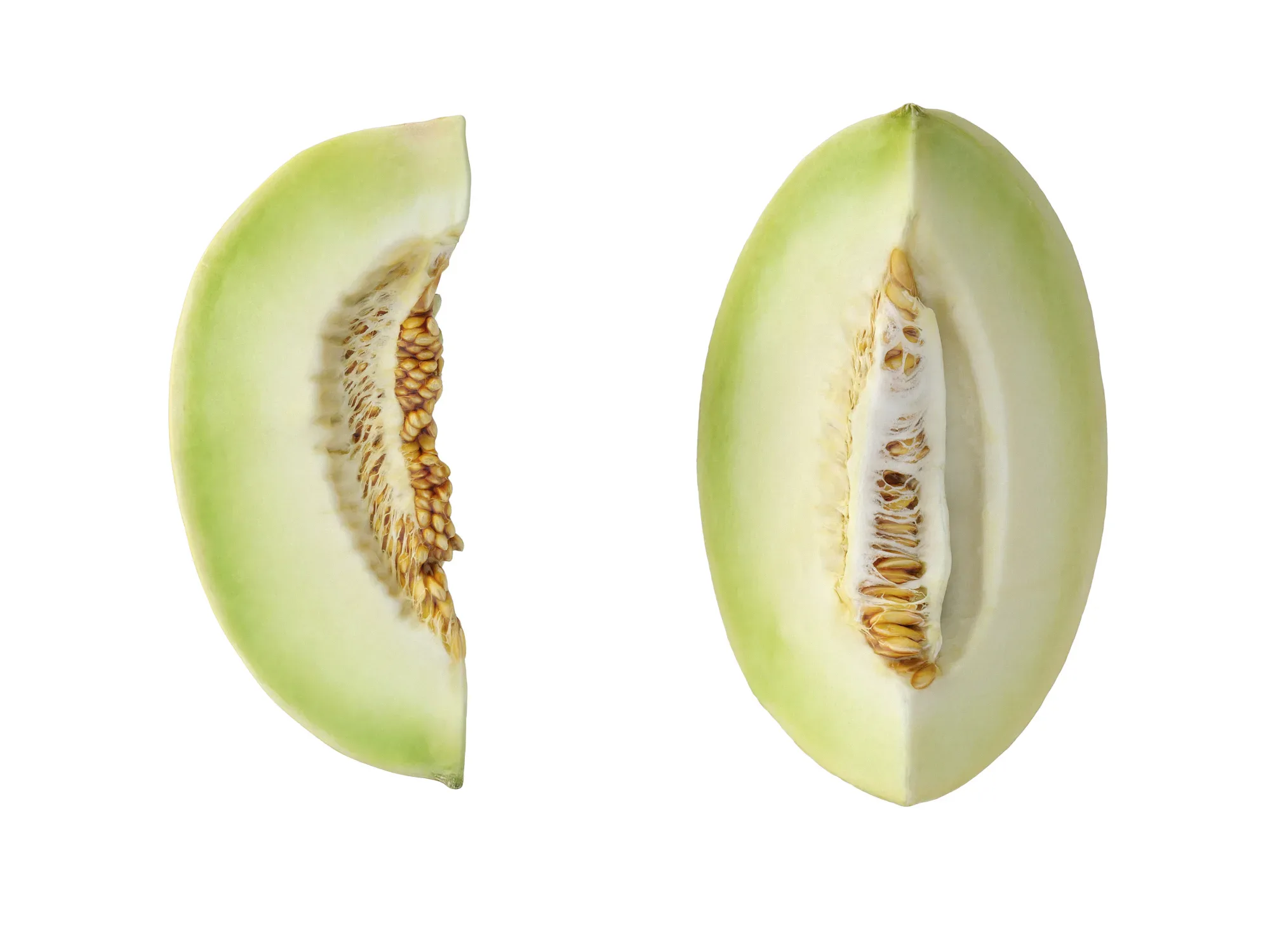 Honeydew Melon 12 Models - FlippedNormals