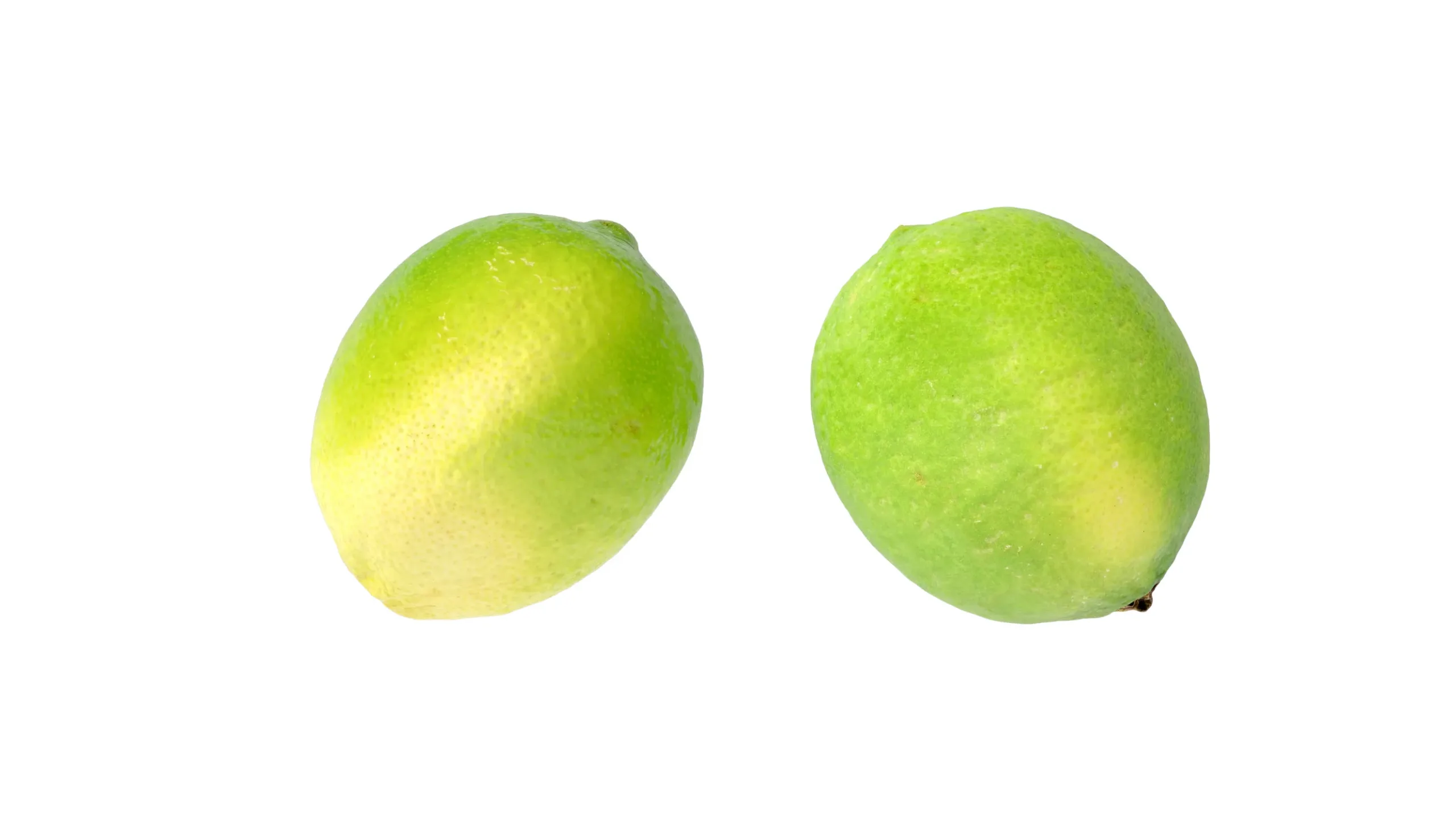 Lime Fruit 15 Models - FlippedNormals