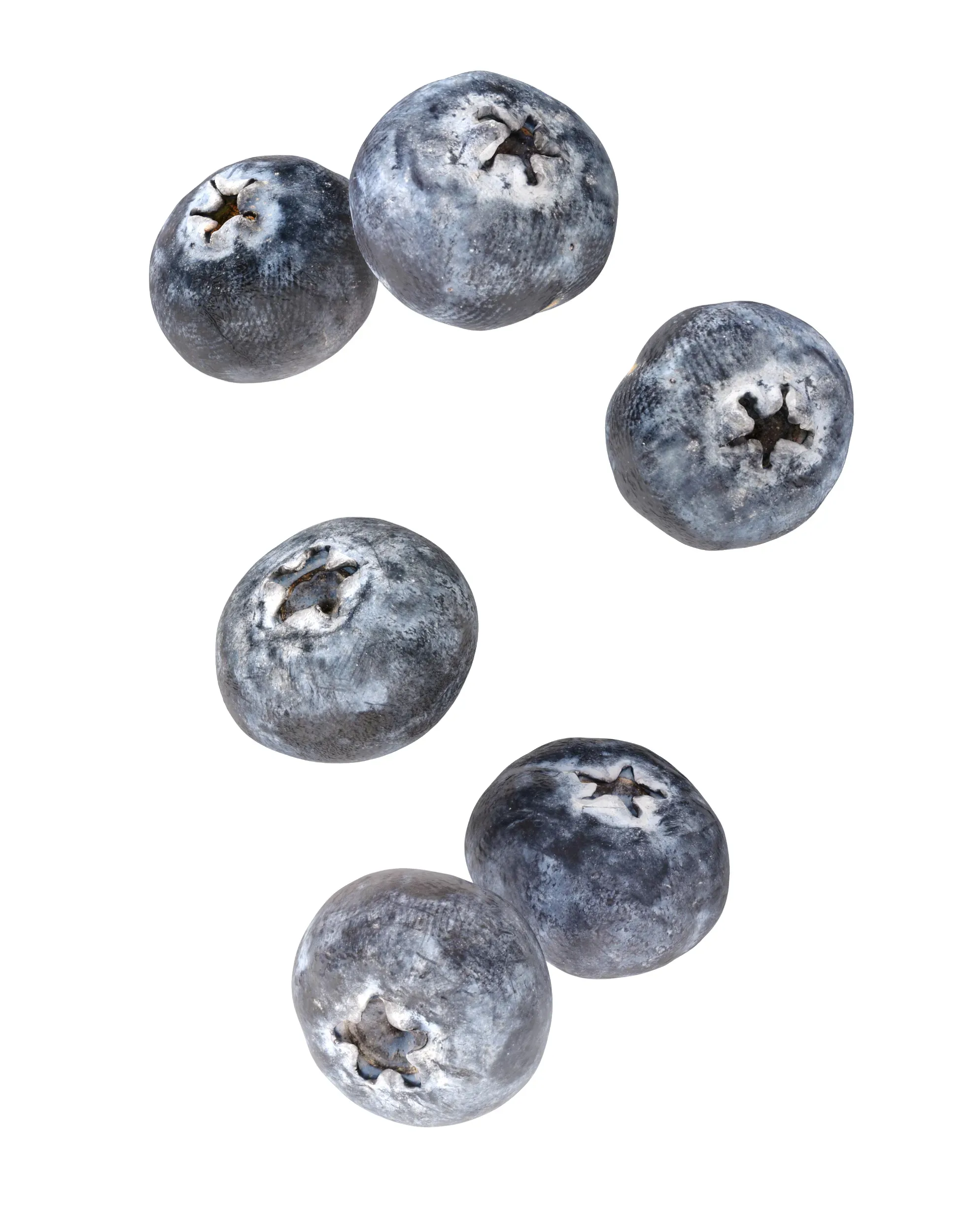 Blueberry 10 Models - FlippedNormals