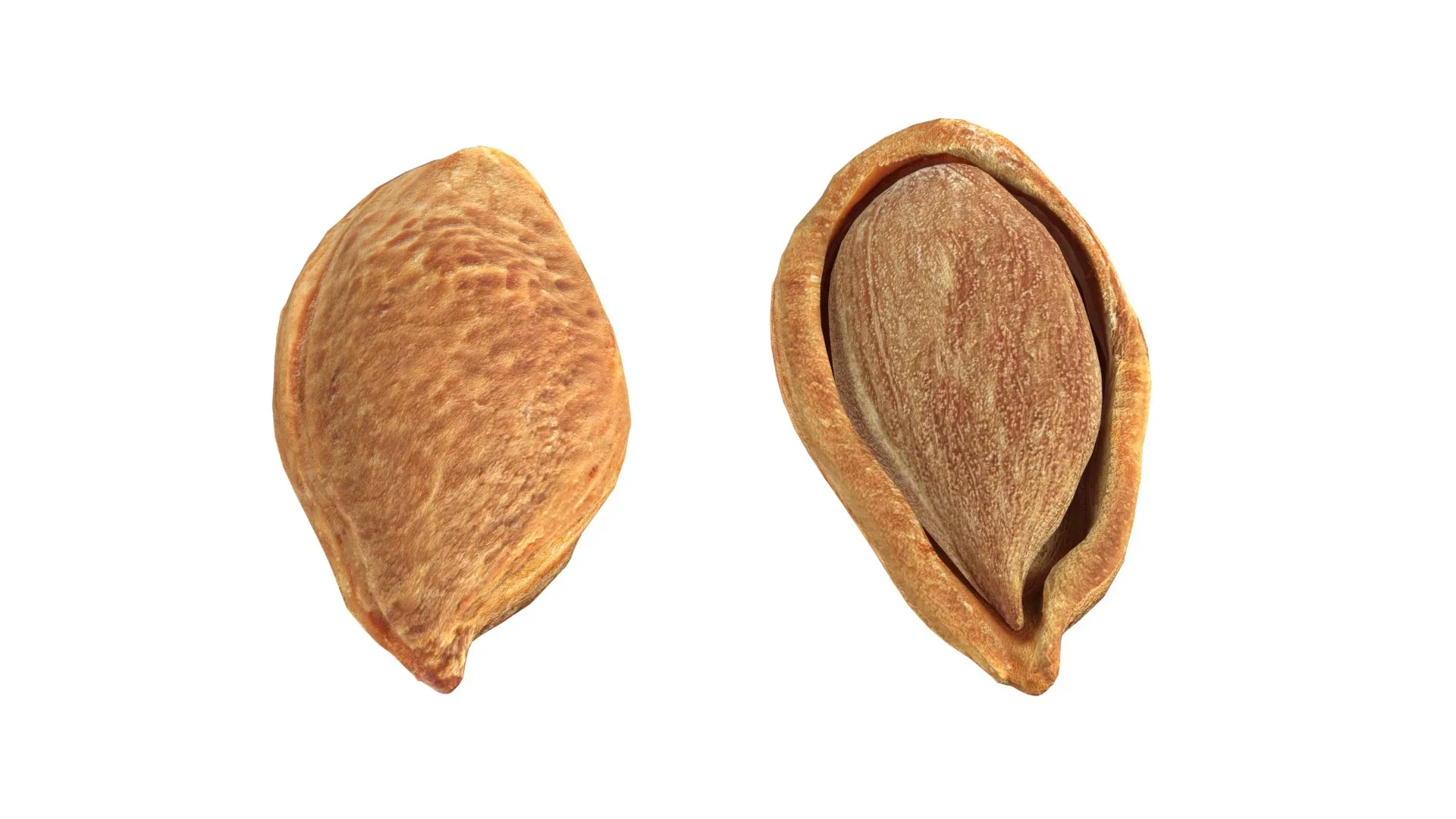 Seed Collection v2 - FlippedNormals