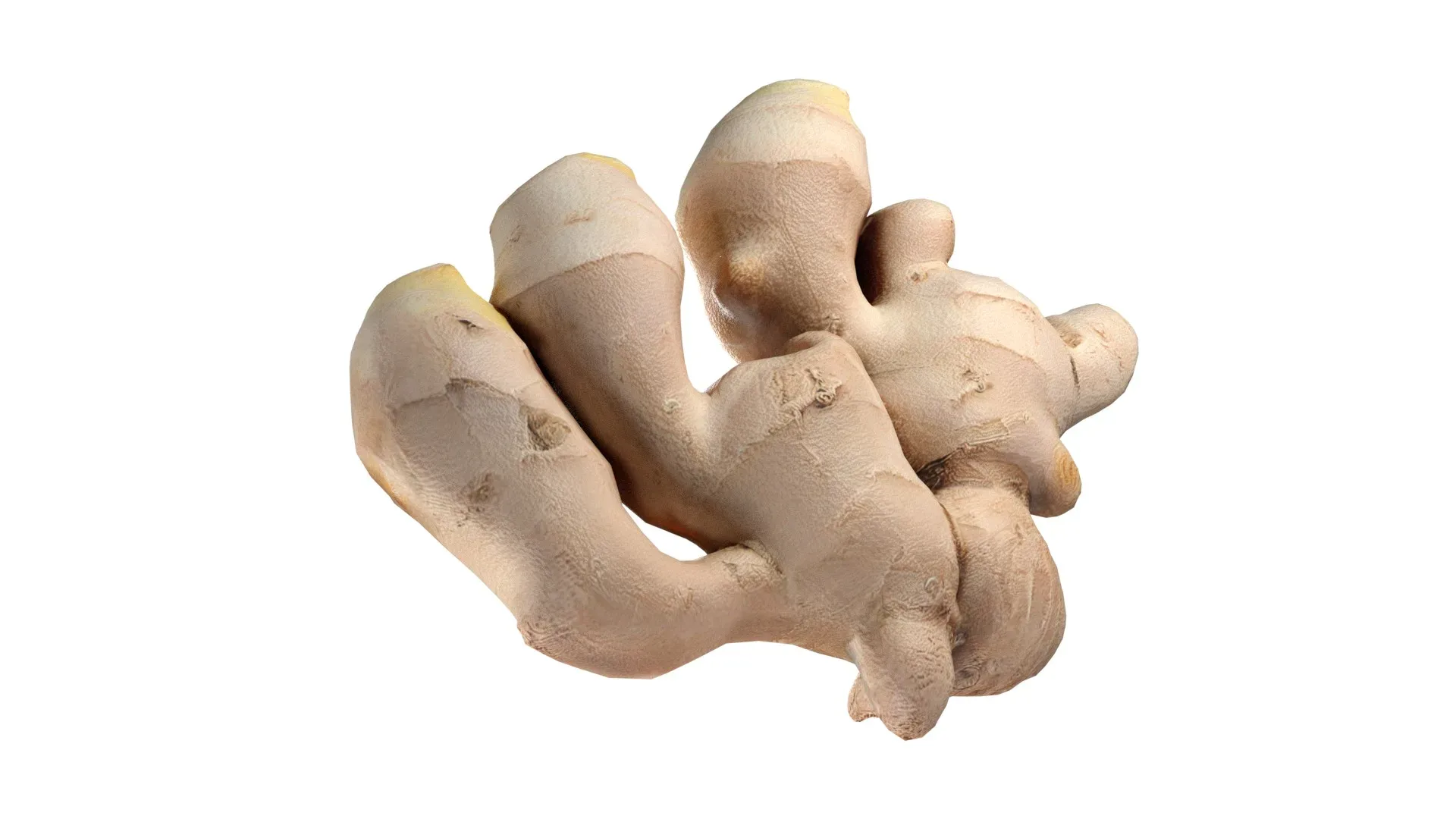 Ginger v2 - FlippedNormals