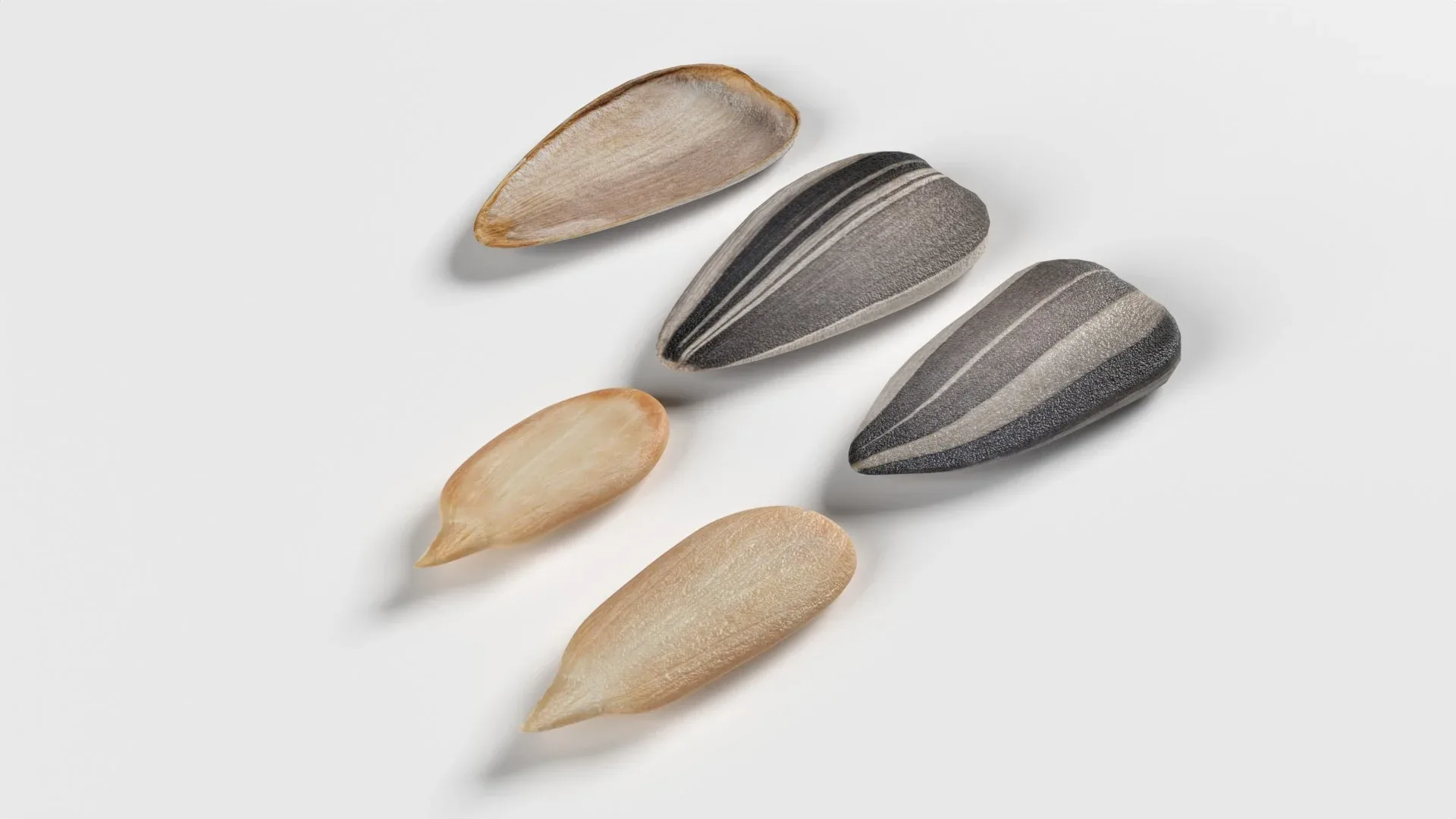 Sunflower seed collection - FlippedNormals