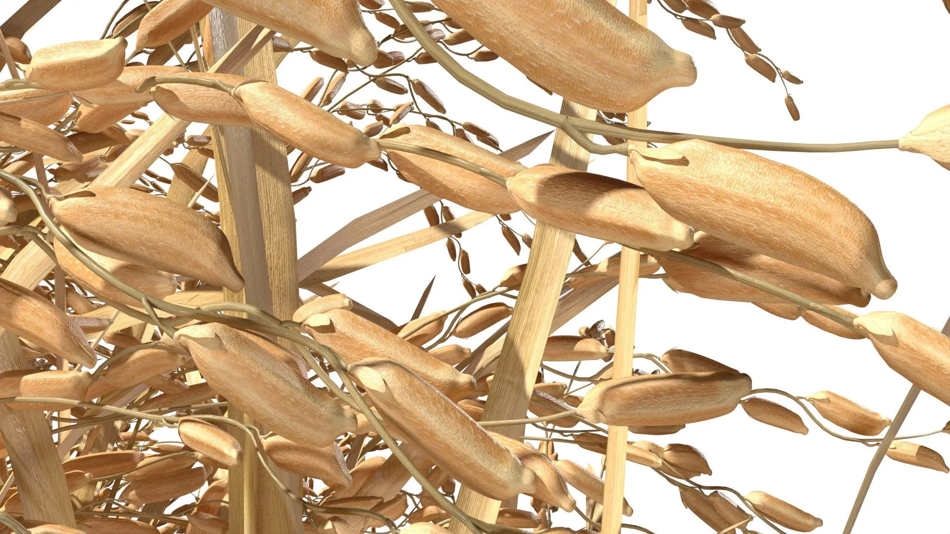 Dried field section - FlippedNormals