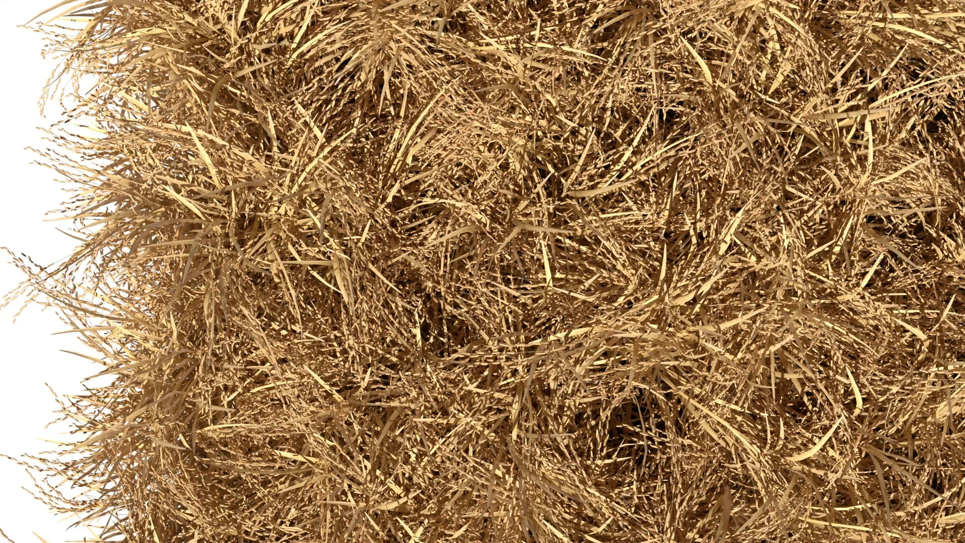 Dried field section - FlippedNormals