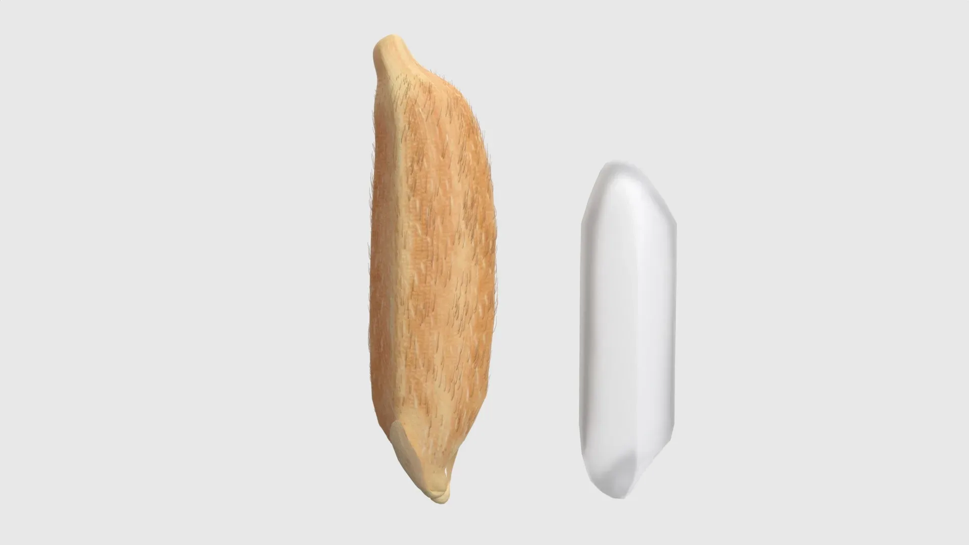 Rice grain and crop mega collection - FlippedNormals