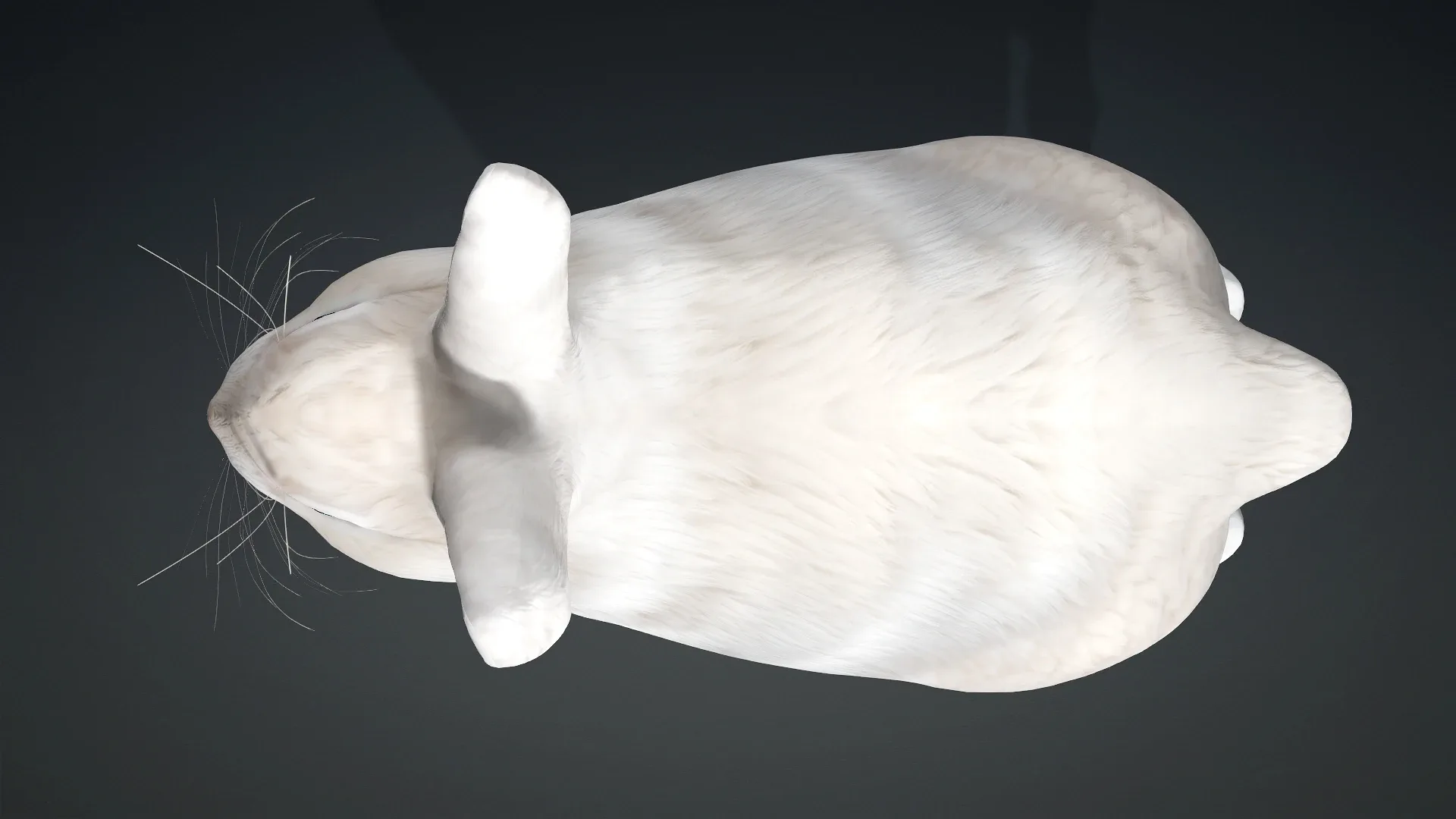 Rabbit_A2 - FlippedNormals