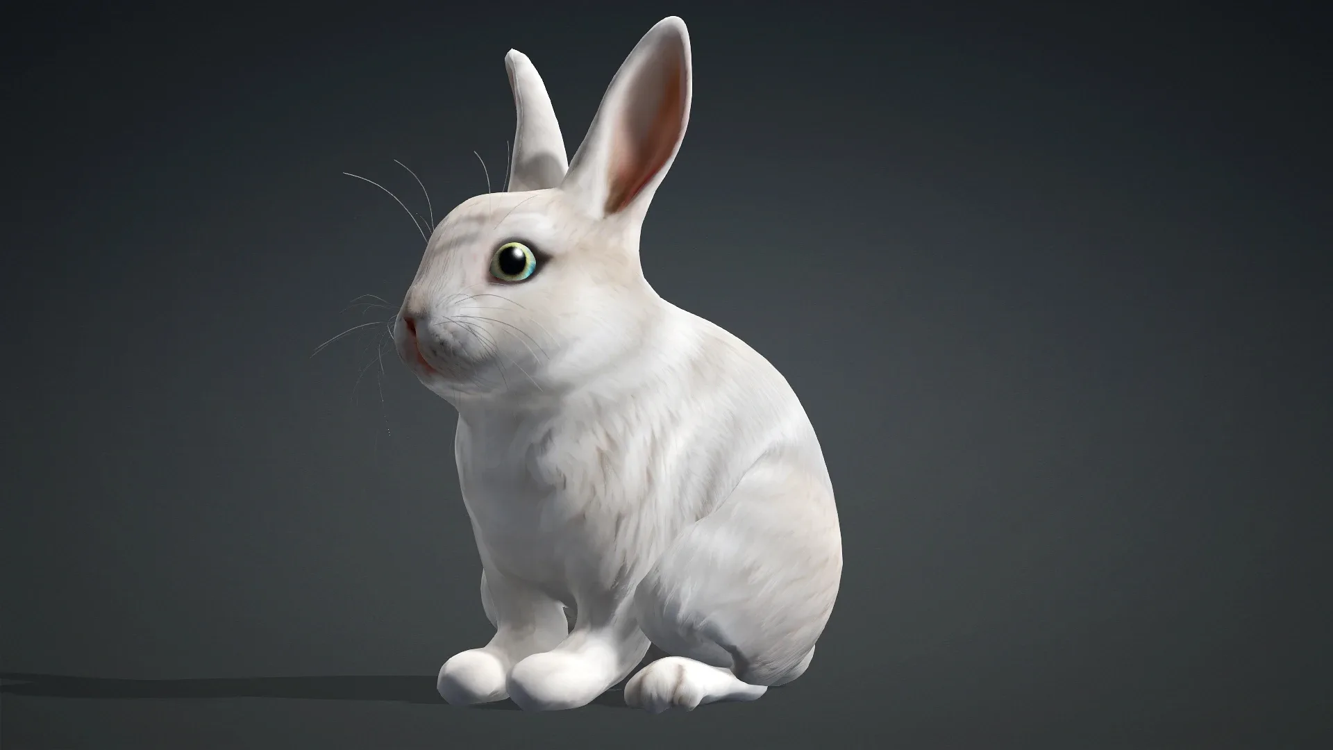 Rabbit_A2 - FlippedNormals