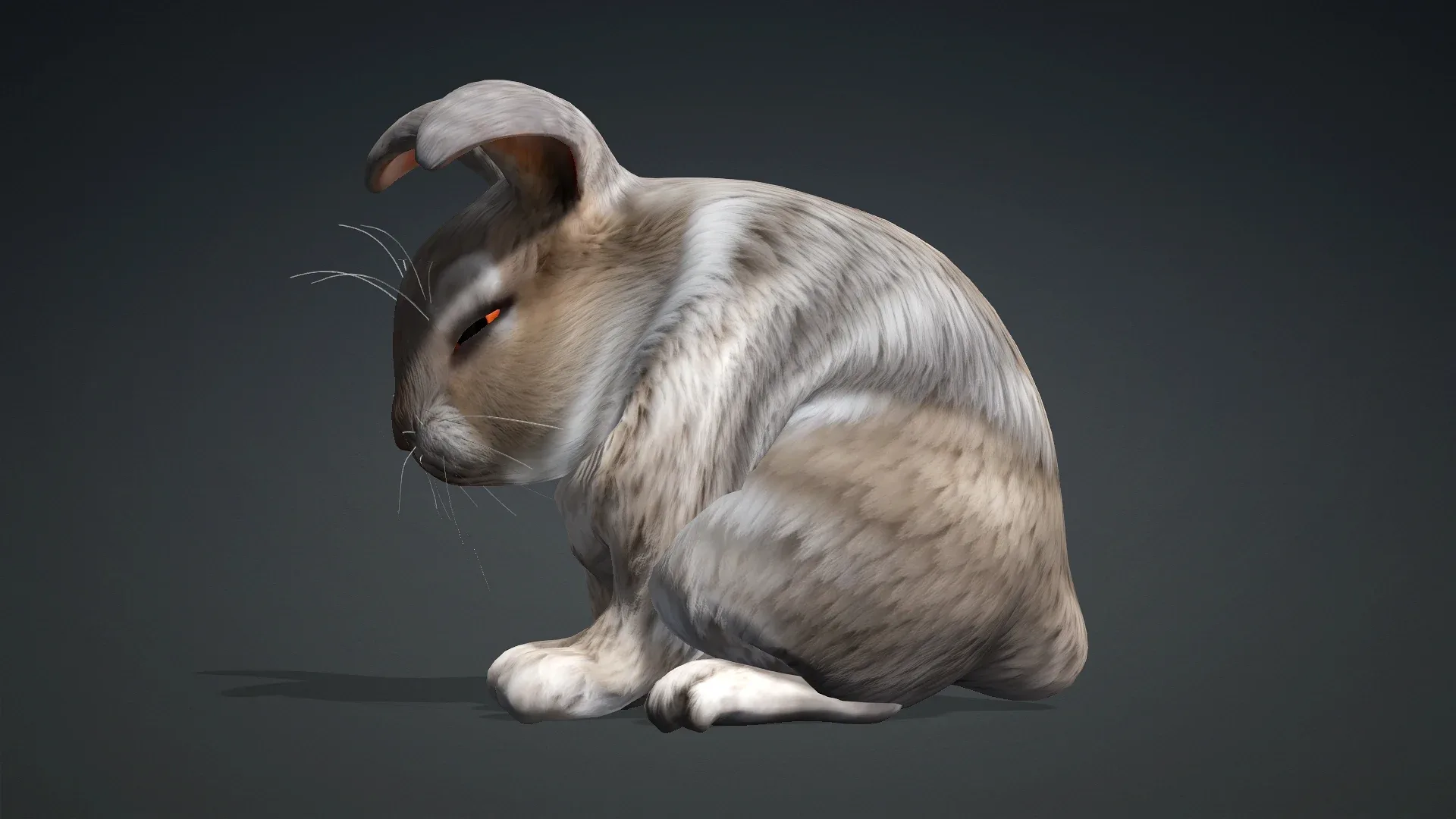 Rabbit_A3 - FlippedNormals