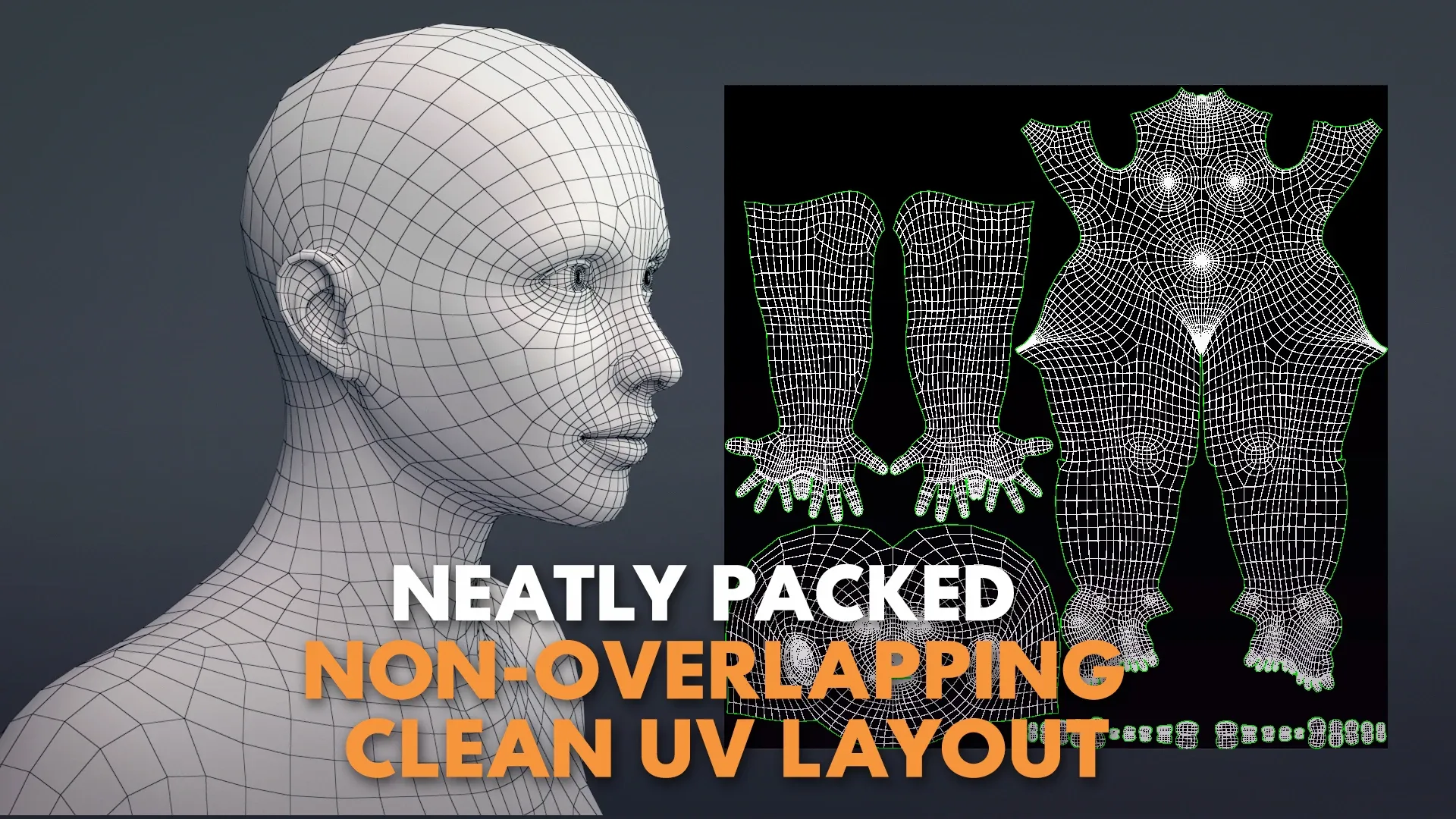 Female Basemesh with Clean Topology - FlippedNormals